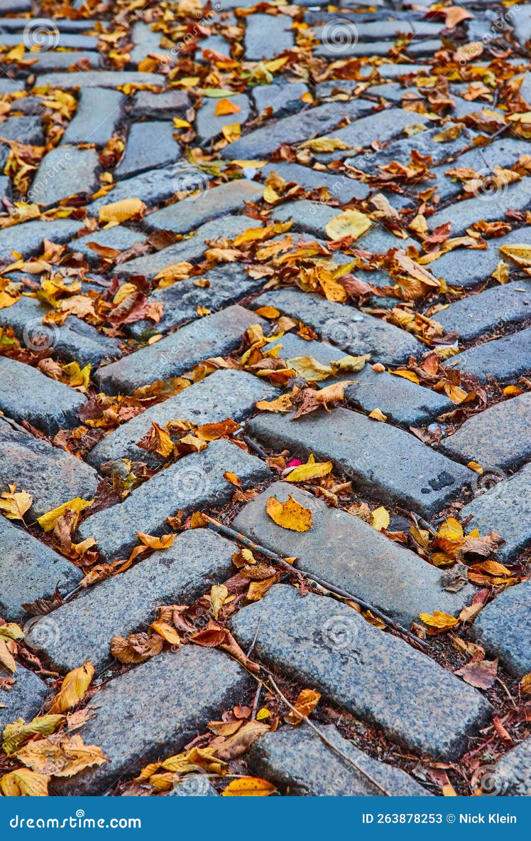 Walkway with Pattern of Bricks and Gaps Filled with Fall Leaves Stock ...