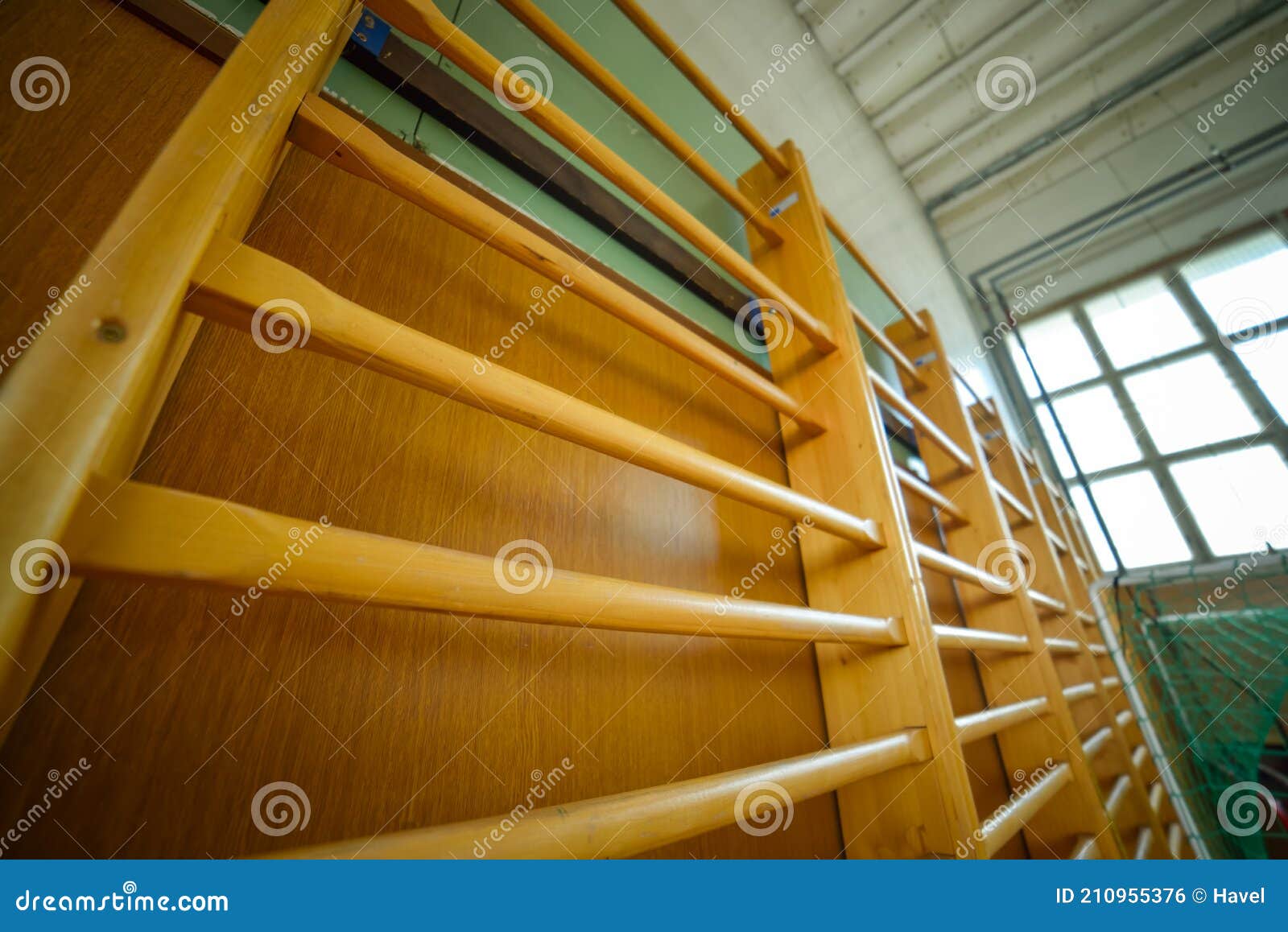 The Image of a Wall Bars Ladders in Gym Stock Photo - Image of training ...