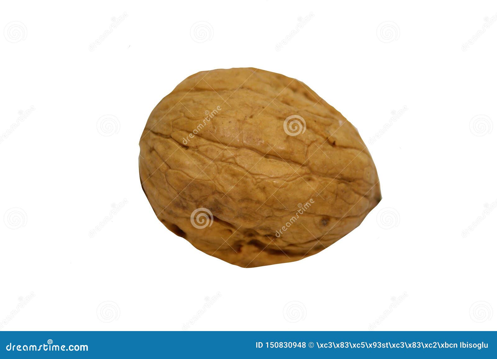 Image of Walnut Isolated on White. Stock Photo - Image of kernel ...