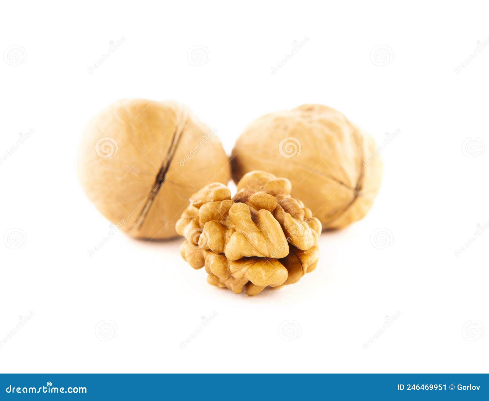 Image of Walnut White Background Stock Image - Image of diet, seed ...
