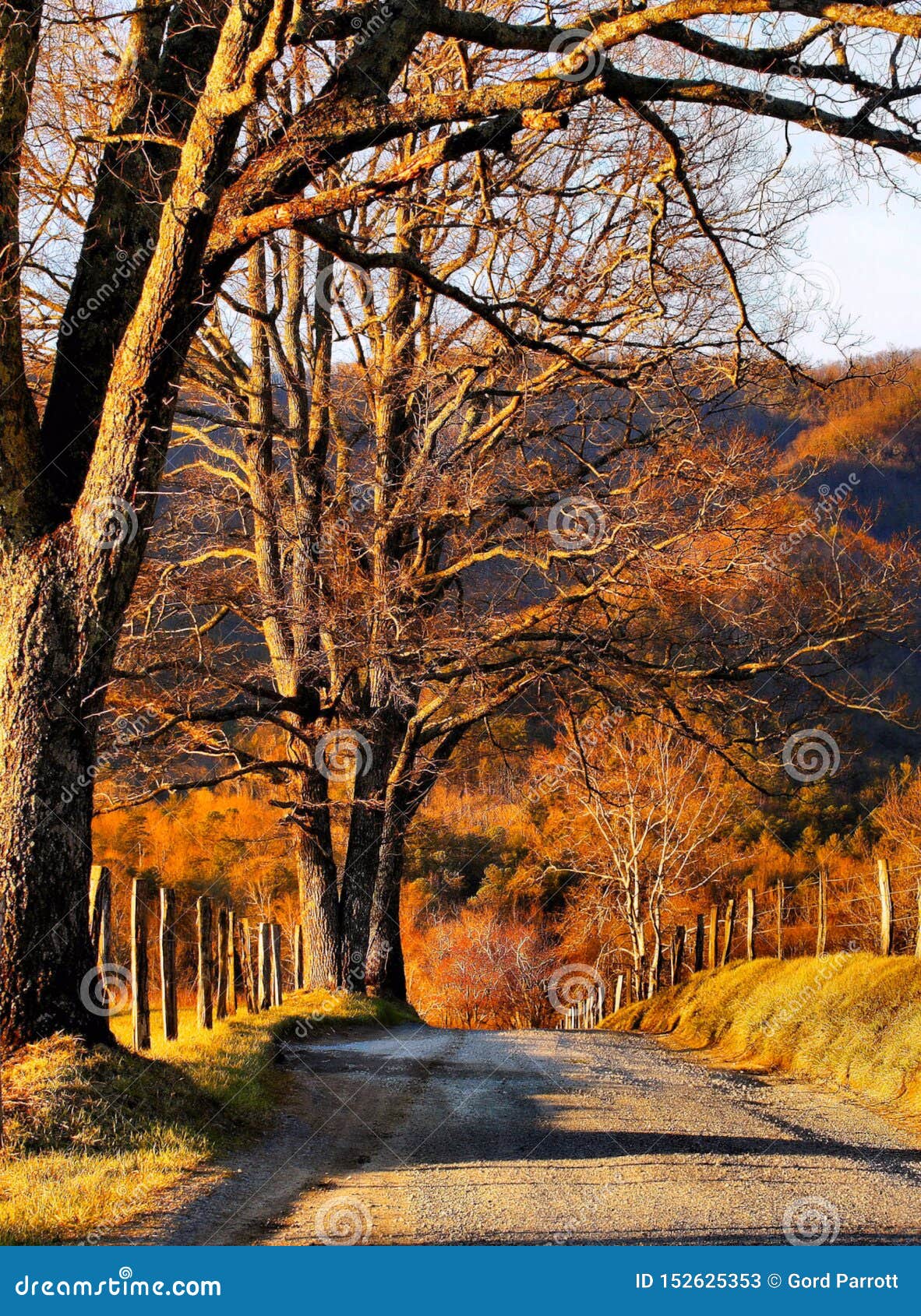 A Path Across the Valley stock image. Image of vertical - 152625353