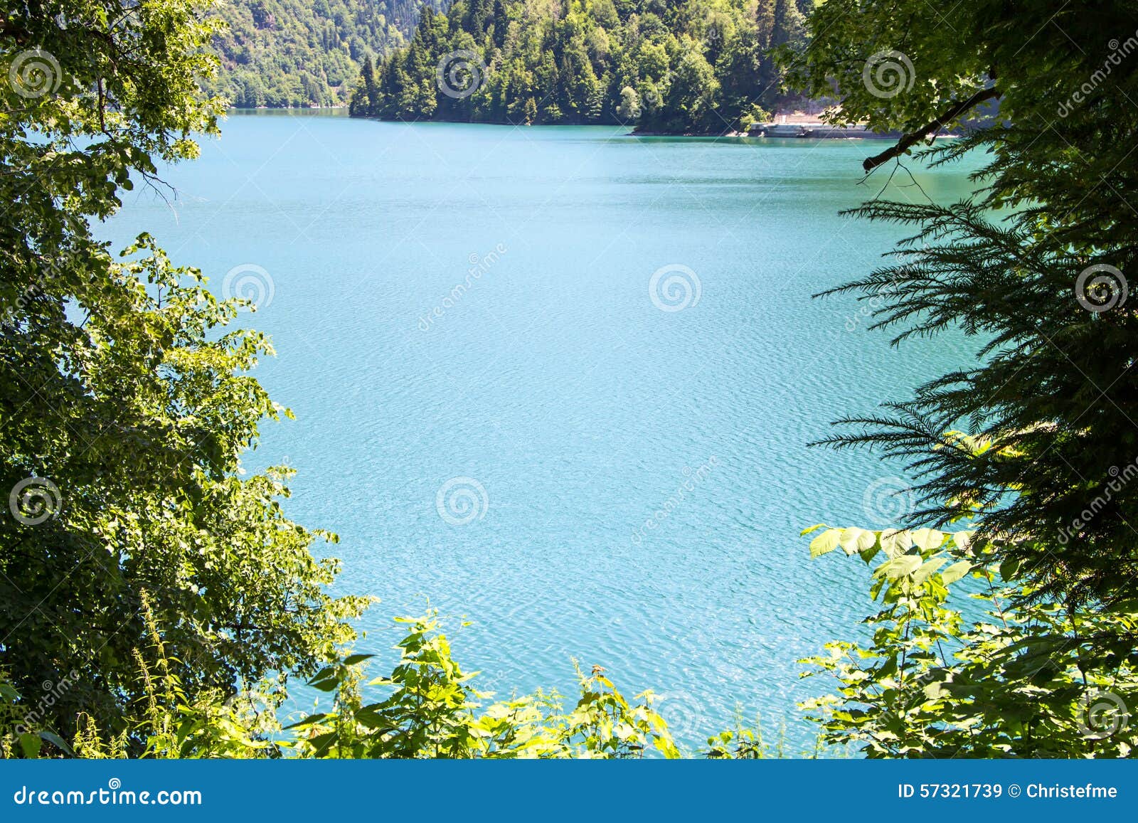 Image of Water in Mountain River through Trees Stock Image - Image of ...
