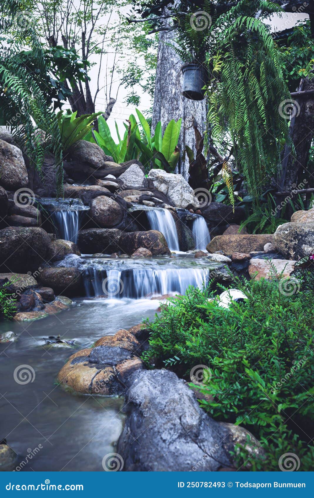 The Image of Water Running Down the Rocks in the Garden Stock Image ...