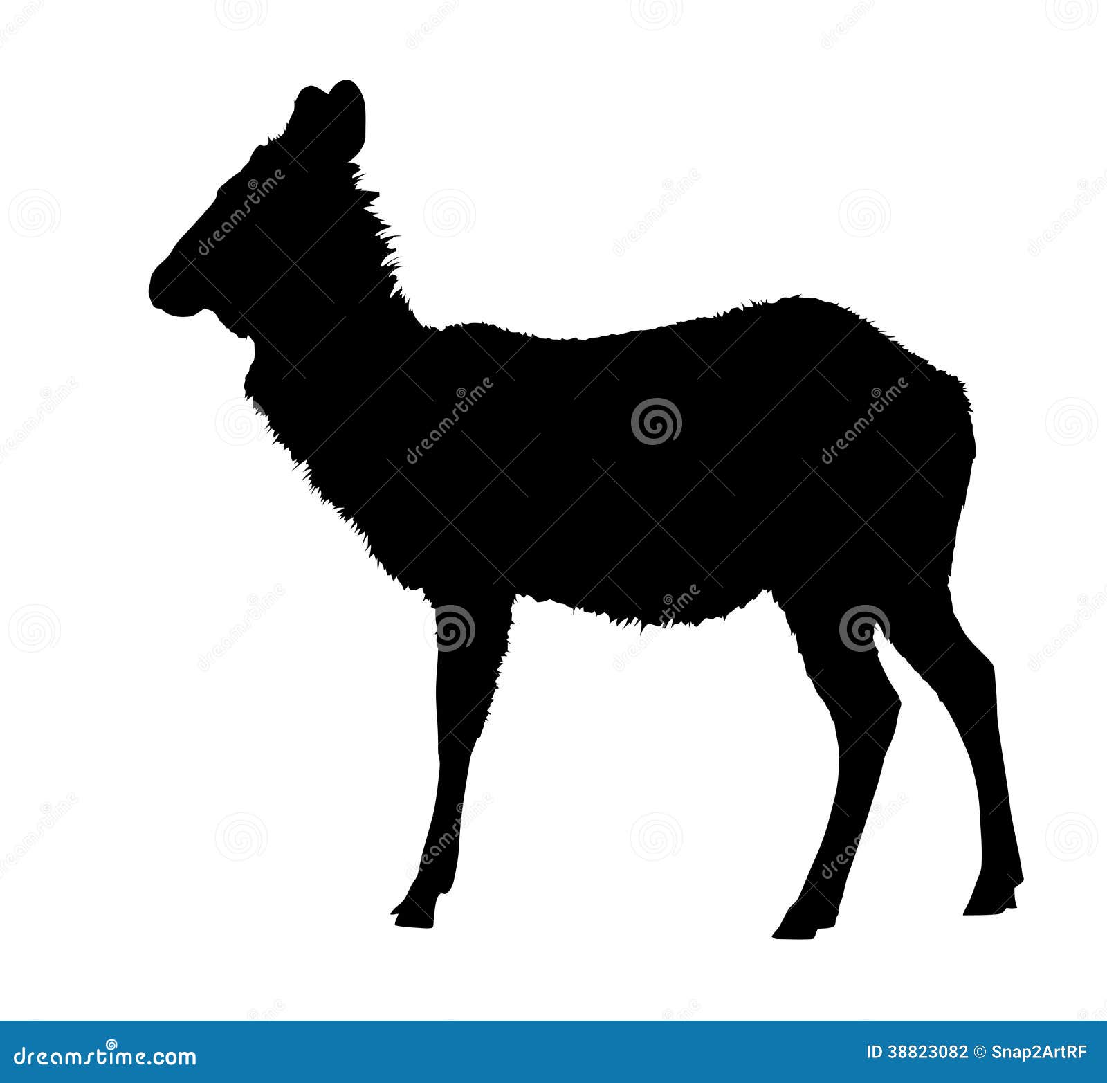 Waterbuck Head Portrait Vector Illustration Isolated On White ...