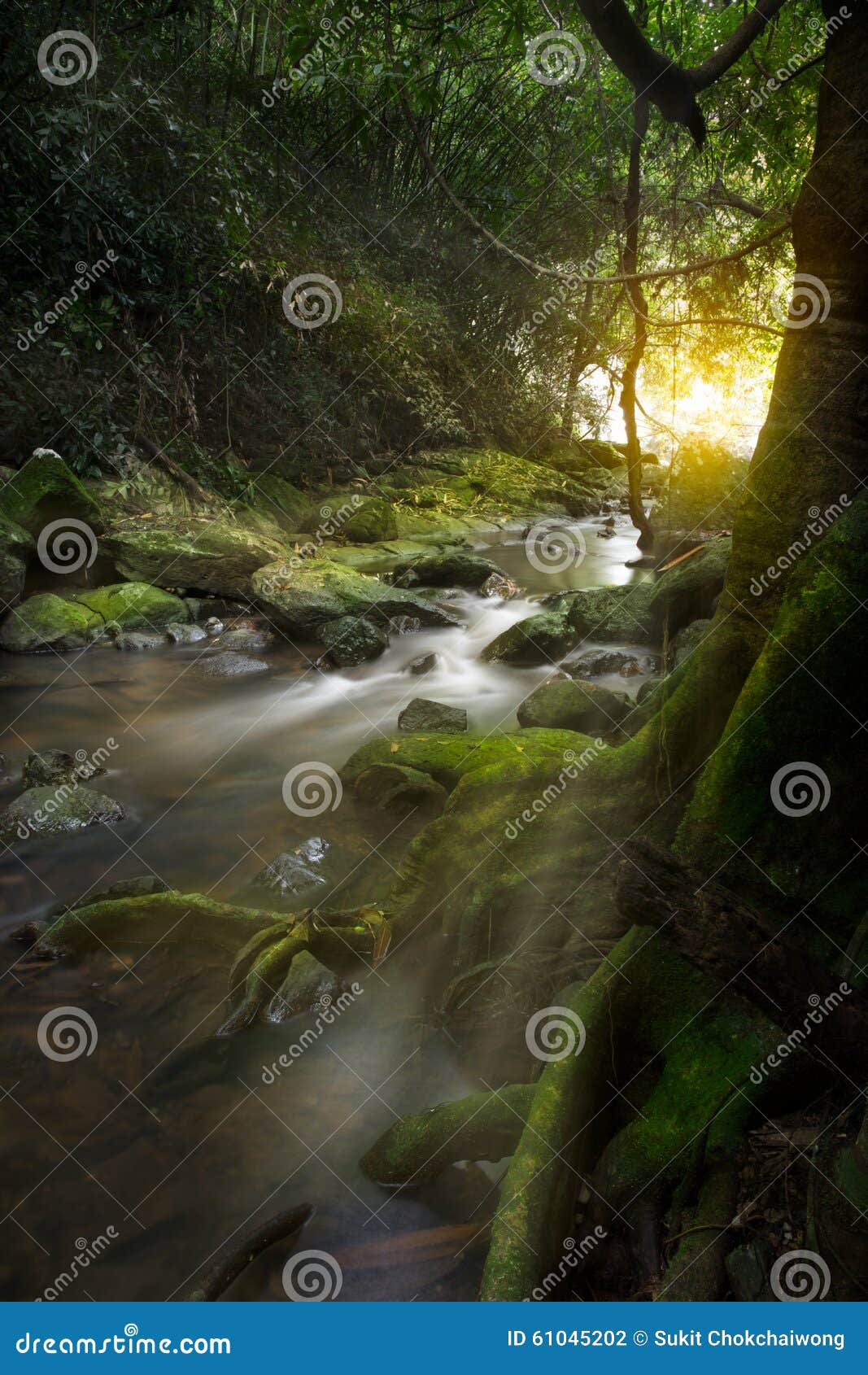 An Image of Waterfall in the Morning with Sun Rays Stock Photo - Image ...