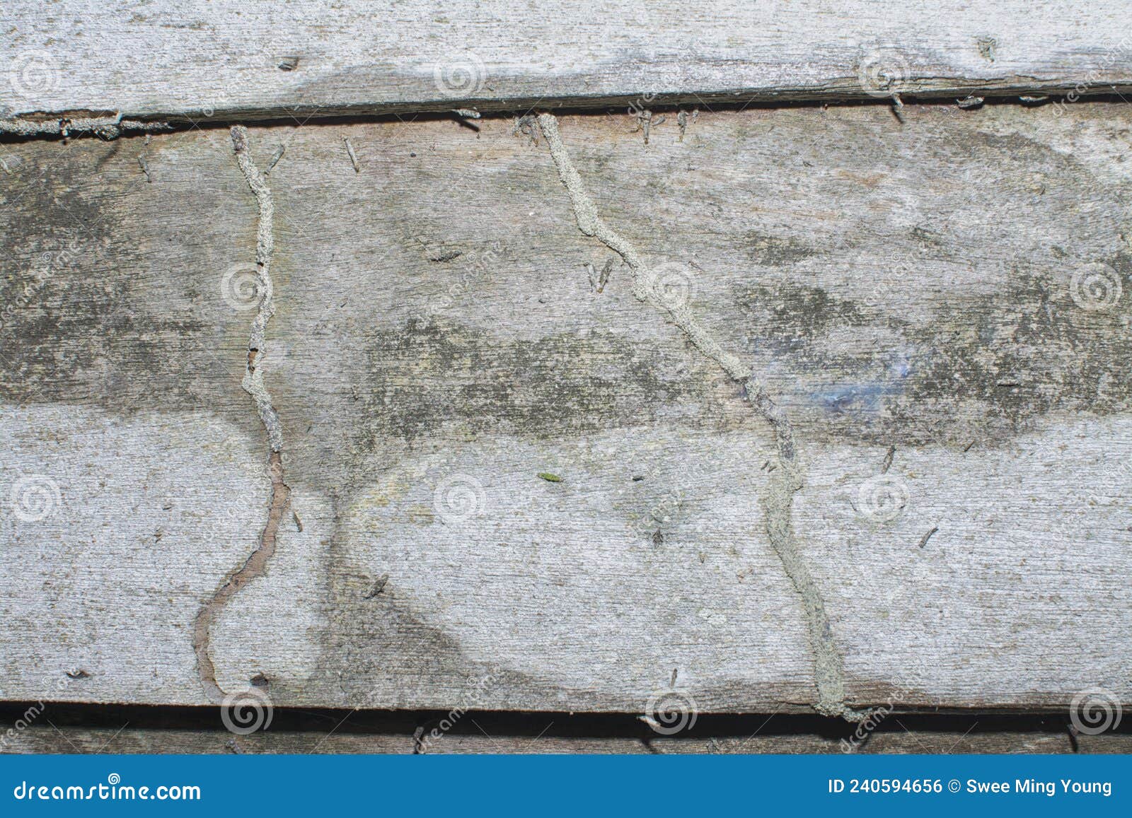 Weathered and Decayed Wall Plank Wood Texture Stock Photo - Image of ...