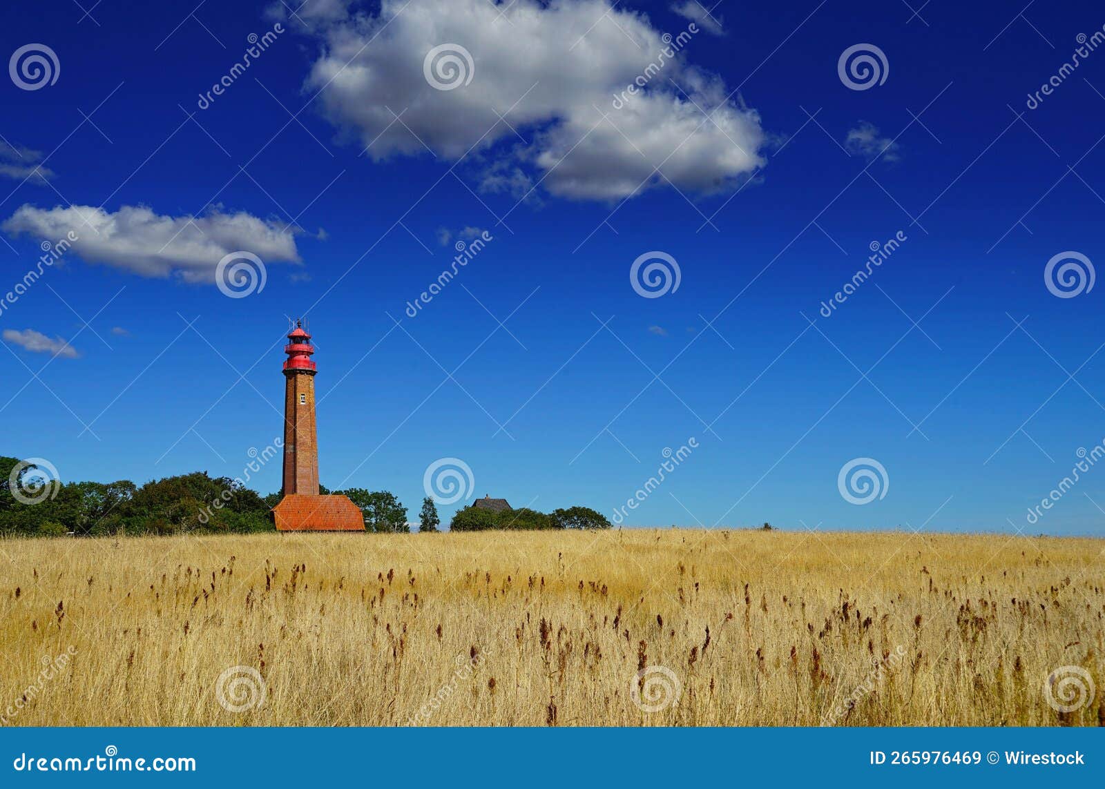 Image of a Wheat Field with a Lighthouse on the Background in Germany ...