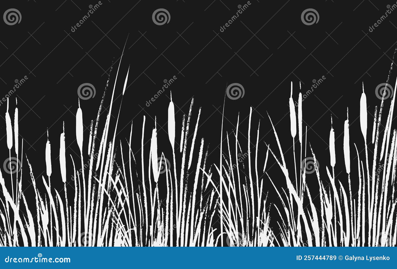 Image of a White Reed or Bulrush on a Black Background.Isolated Vector ...
