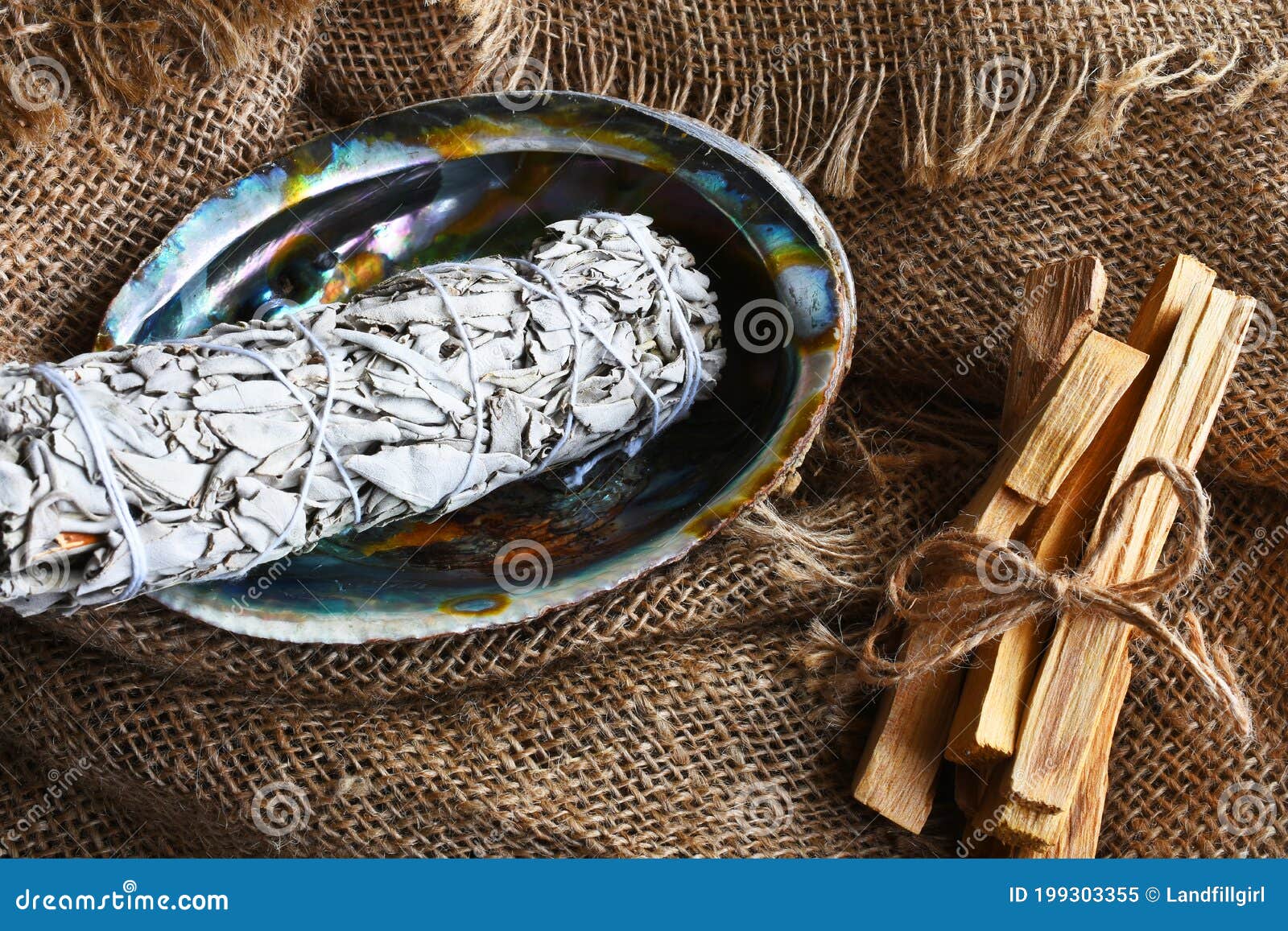 White Sage And Abalone Shell Royalty-Free Stock Photography ...