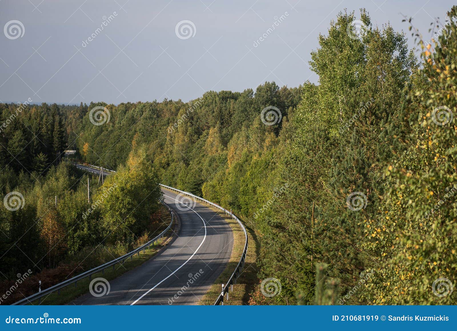 Image of a Winding Road through a Forest Stock Image - Image of empty ...