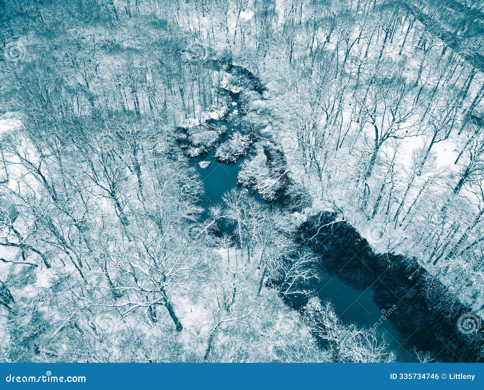 Winter Landscape Overhead Drone View of Forest Tree and Snow Stock ...