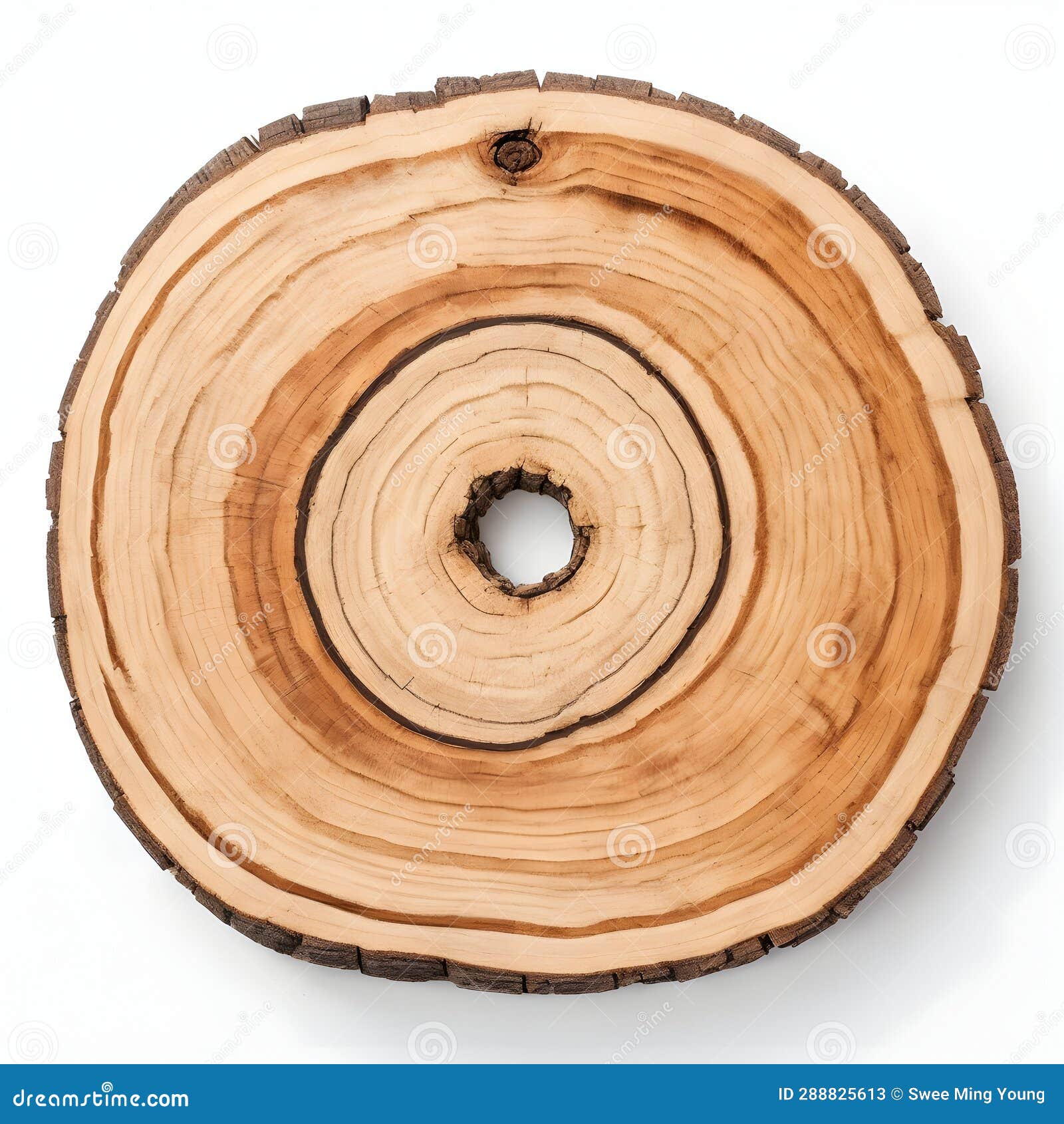 Image of the Wood Log Ring Texture and Pattern. Stock Illustration ...