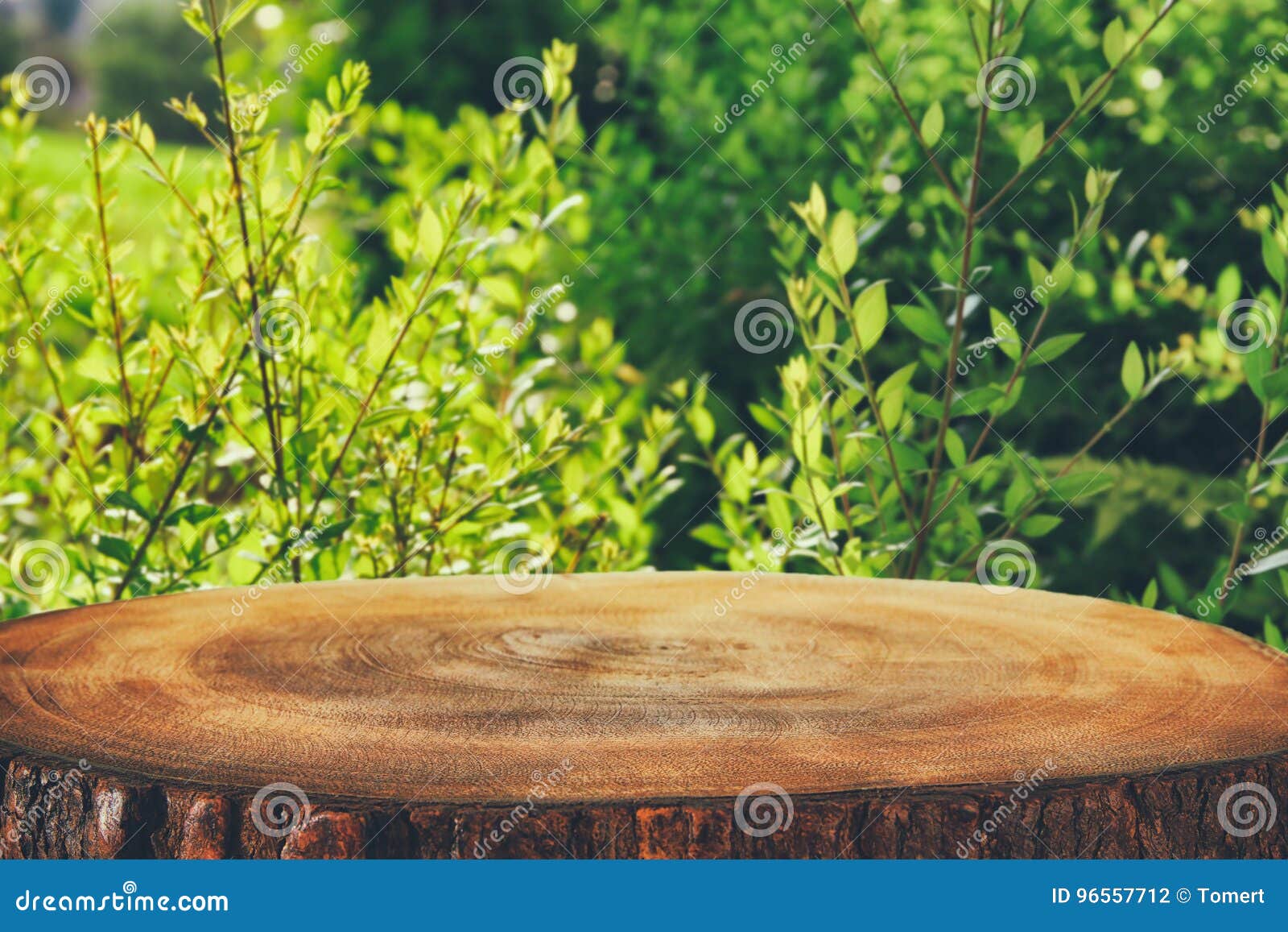 Image of Wooden Table in Front Green Forest Trees Landscape Background ...
