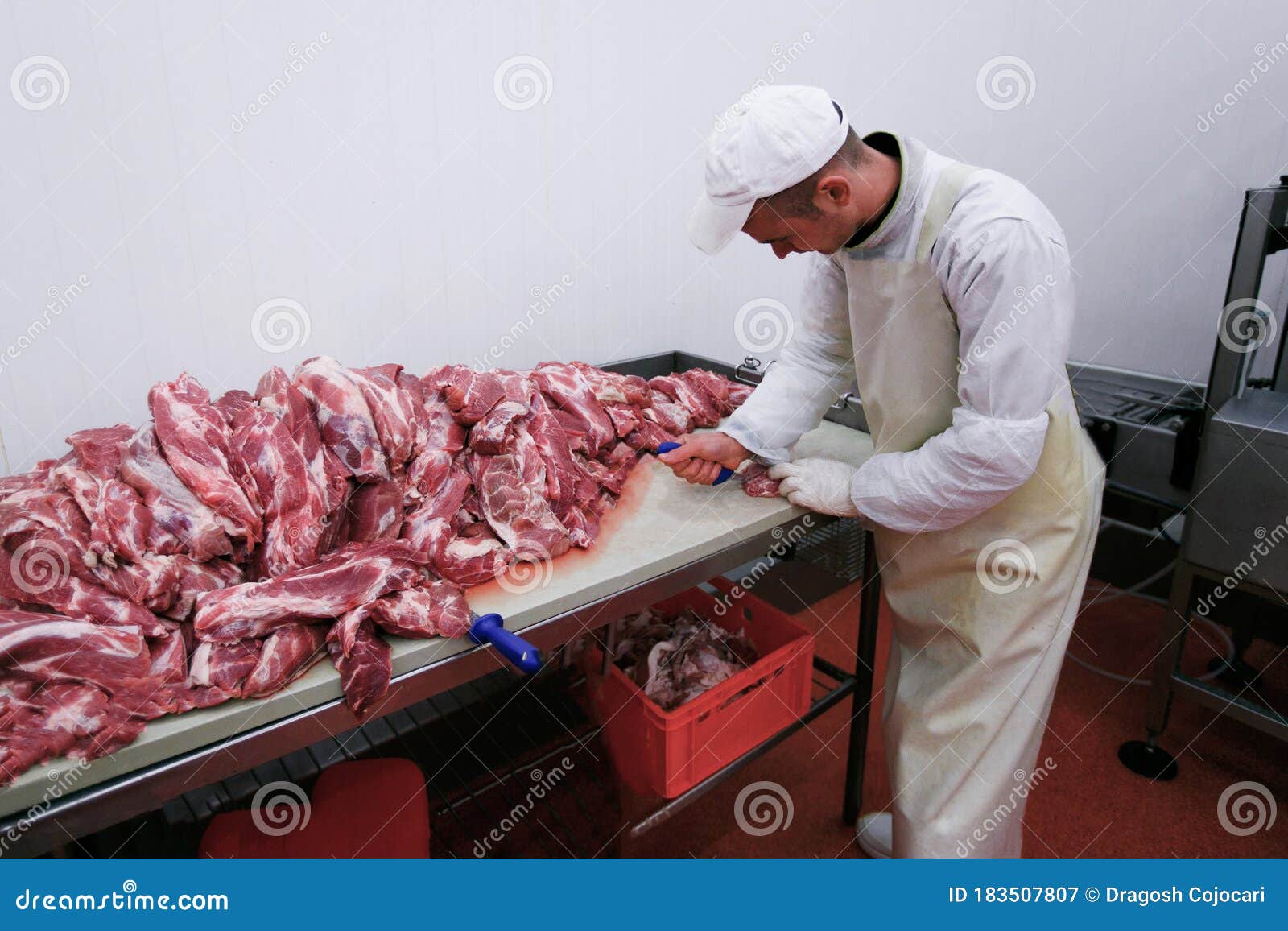 Image of a Worker in Meat Factory, Chopped a Fresh Beef Meat in Pieces ...