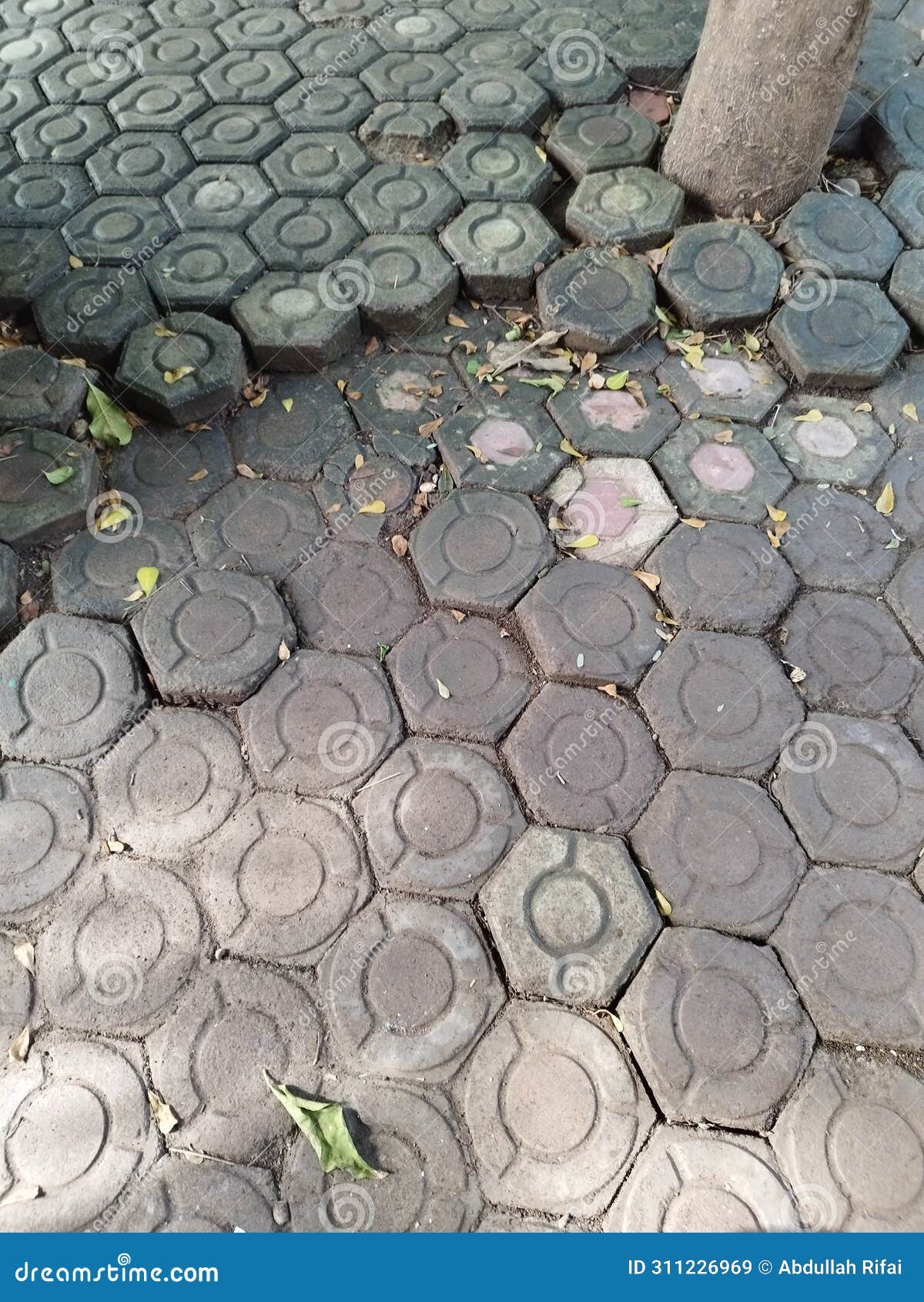 Image of Worn Paving Blocks in the Yard of a House Stock Image - Image ...