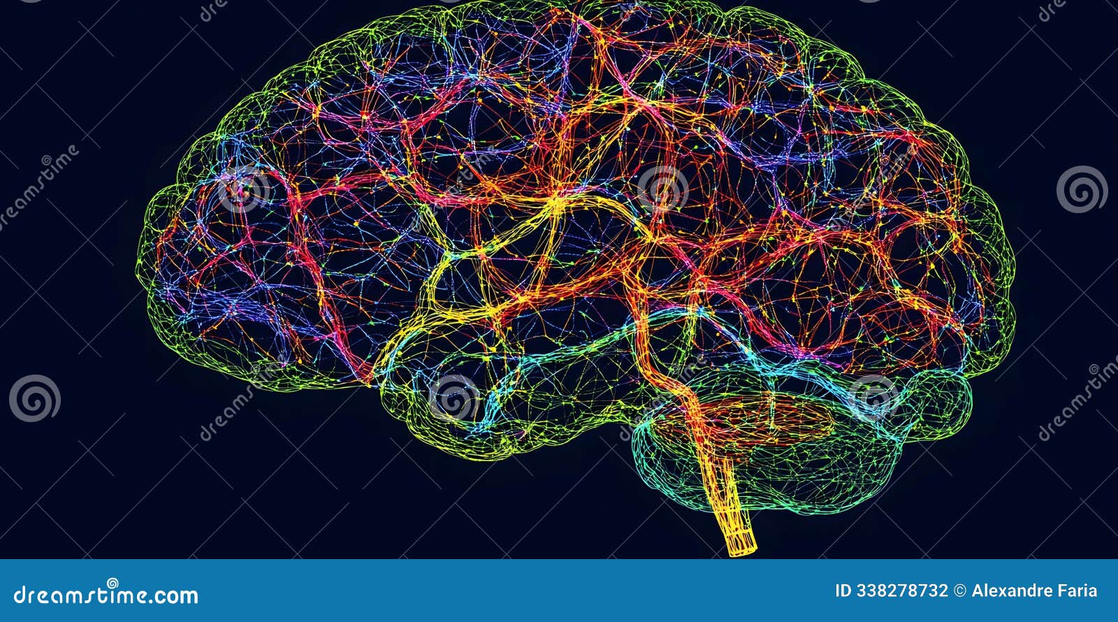 Vibrant Representation of Human Brain Connections Stock Illustration ...