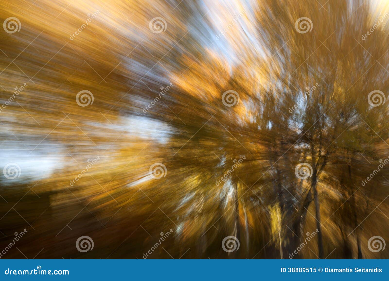 An Image of a Zoom in the Autumn Trees Stock Image - Image of light ...