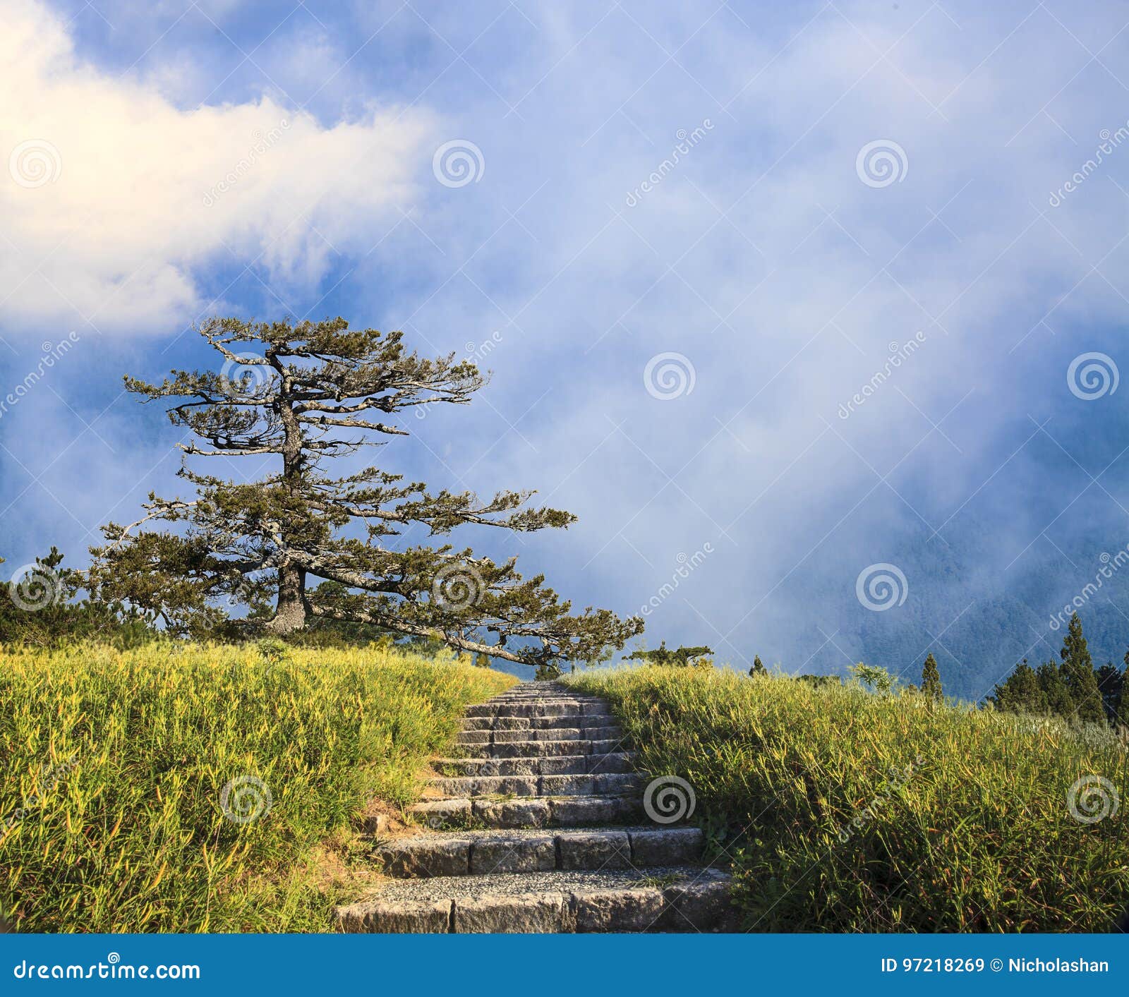 Imageing of Beautiful Landscape of the Sky and the Ground View Stock ...