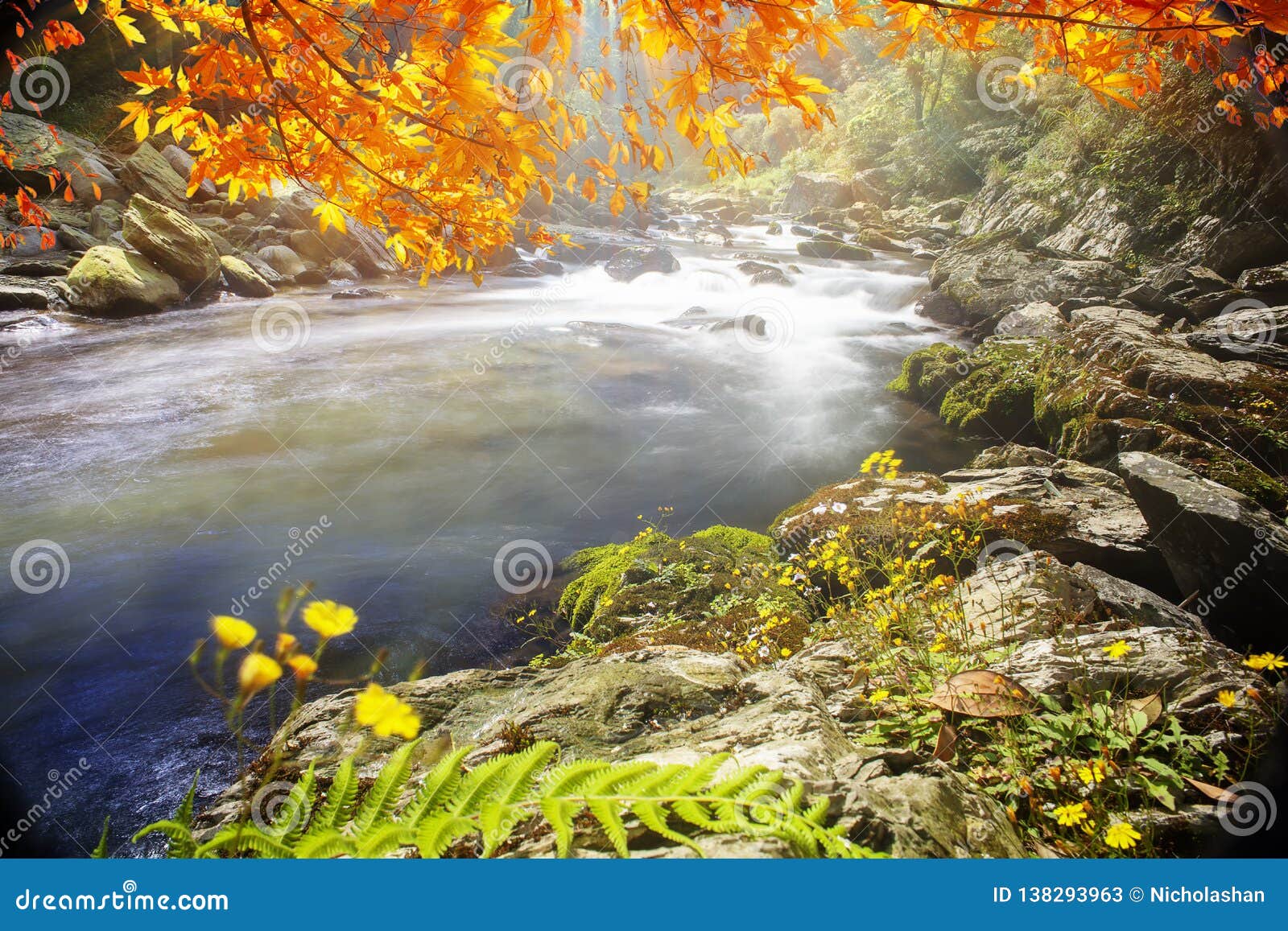 Imageing of Nice Water with Maple Compose a Beautiful View Stock Image ...