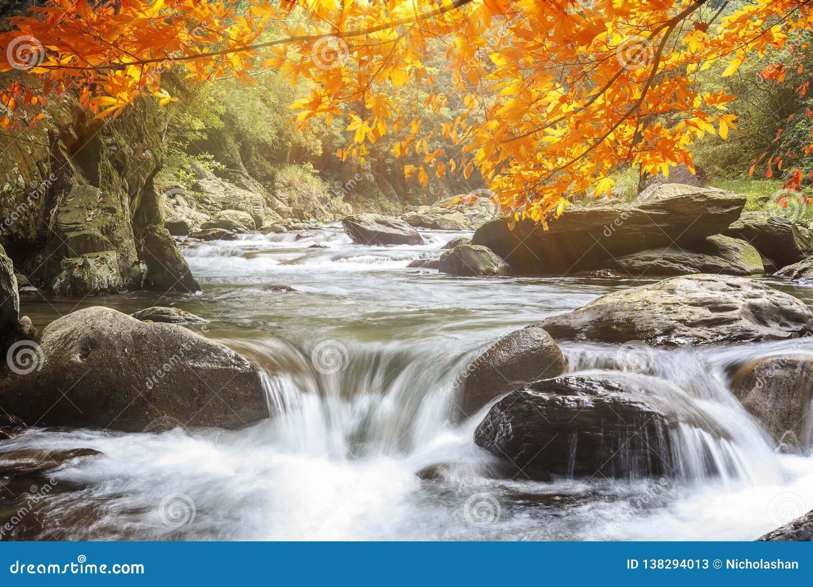 Imageing of Nice Water with Maple Compose a Beautiful View Stock Image ...