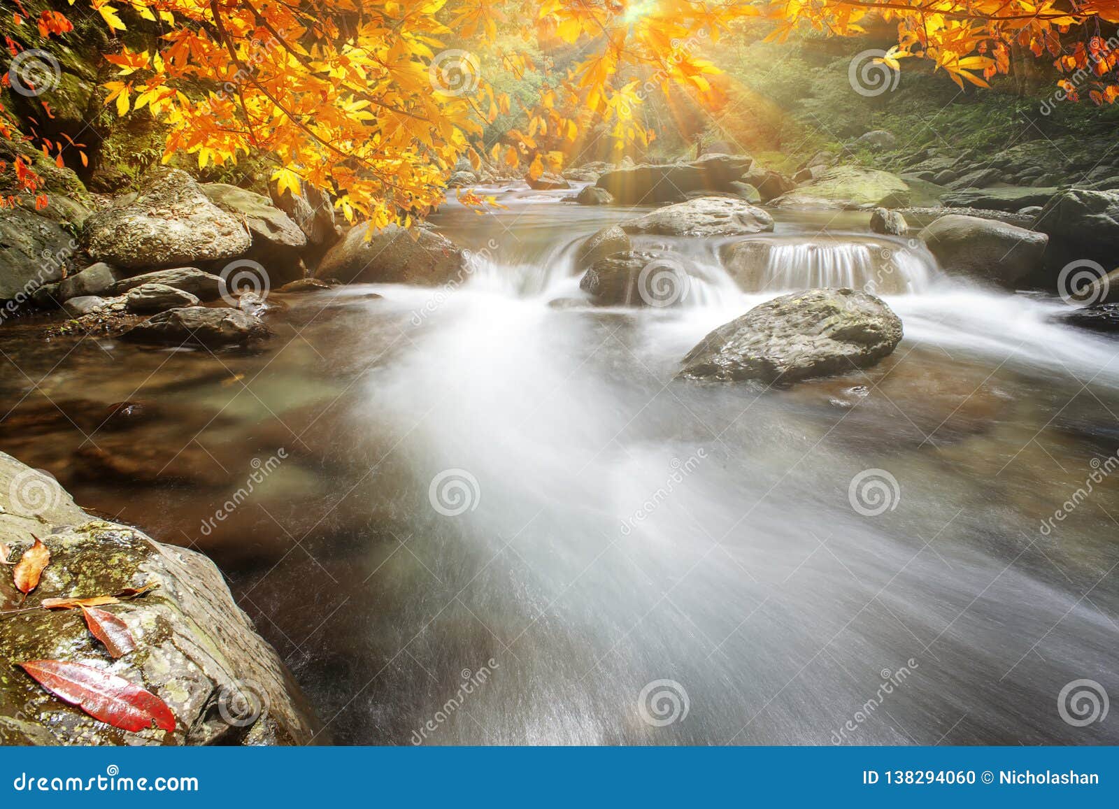 Imageing of Nice Water with Maple Compose a Beautiful View Stock Photo ...