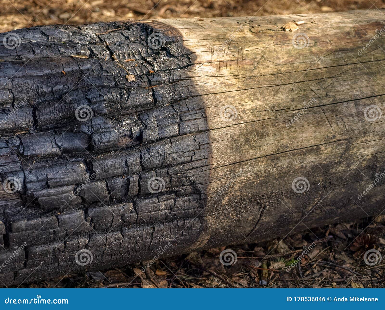 Imagem Abstrata Com Textura De Madeira Queimada Foto de Stock - Imagem ...