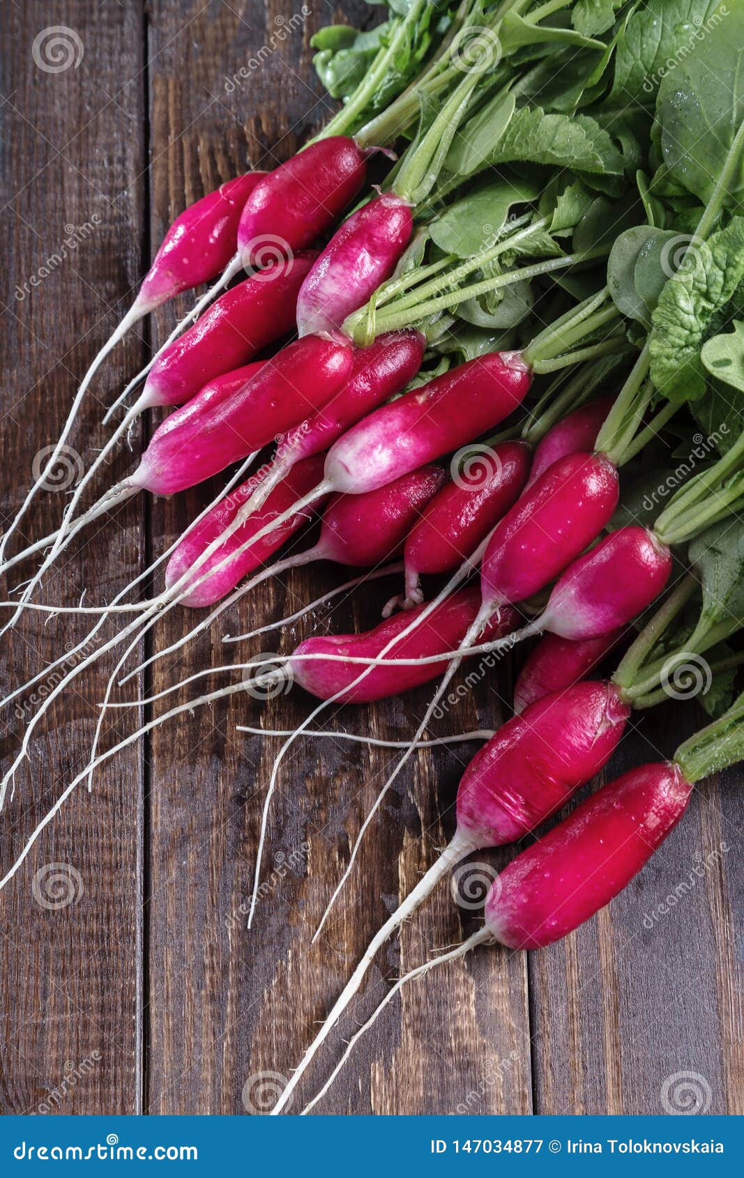 Imagem com rabanetes imagem de stock. Imagem de raizes - 147034877