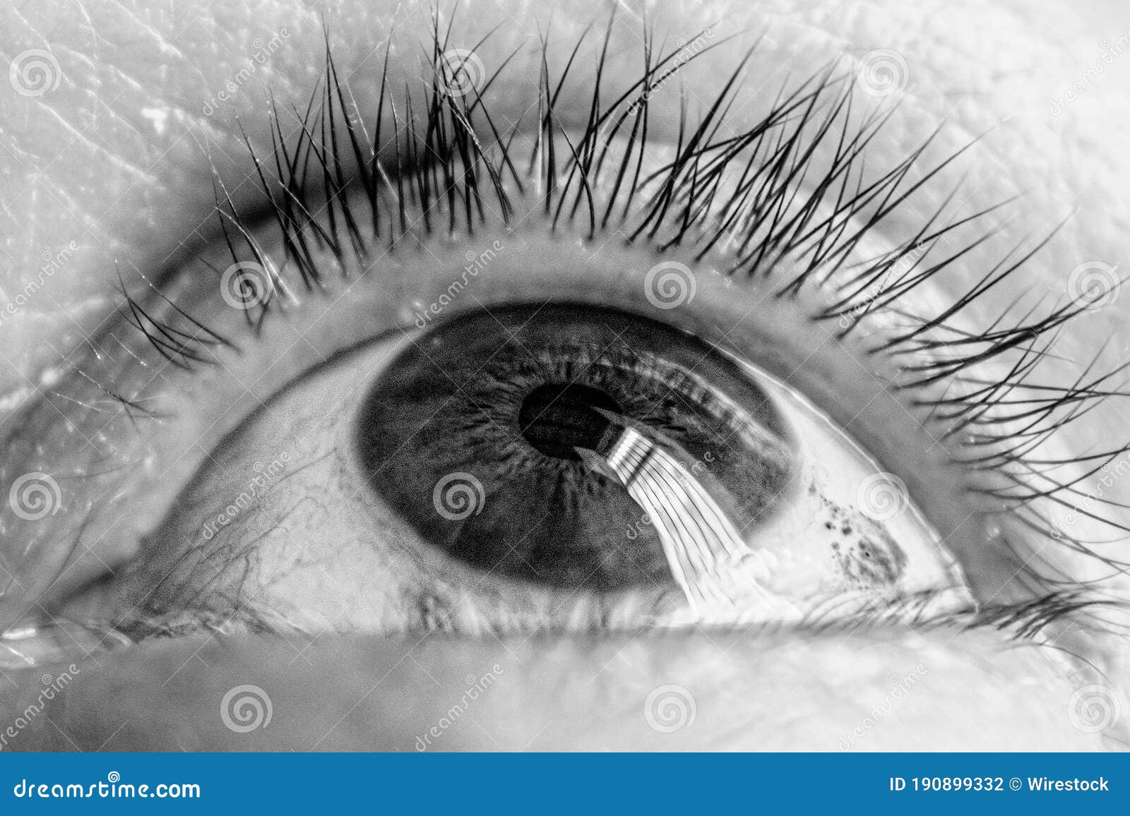 Imagem De Um Olho Humano Olhando Para Cima Foto de Stock - Imagem de ...