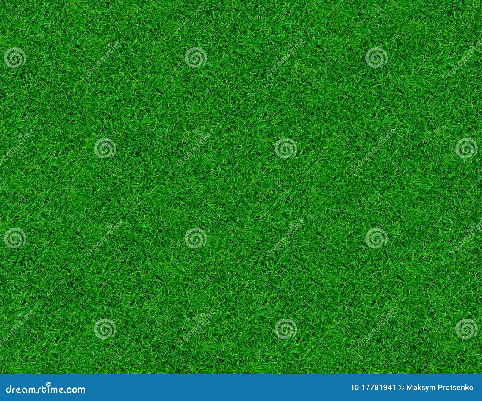 Verde Color Pictures And Images - RGB Color Hex Code [#008000 - 74%]