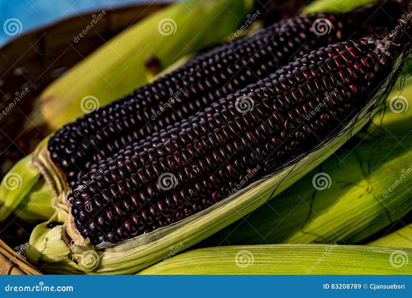 Imagem do milho roxo imagem de stock. Imagem de agricultura - 83208789