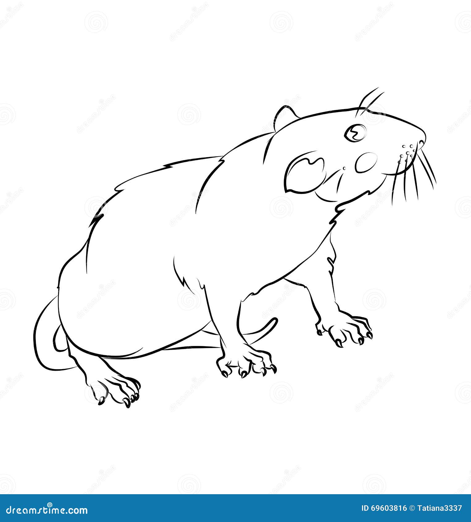 Imagem Preto E Branco Do Rato Ilustração do Vetor - Ilustração de ...