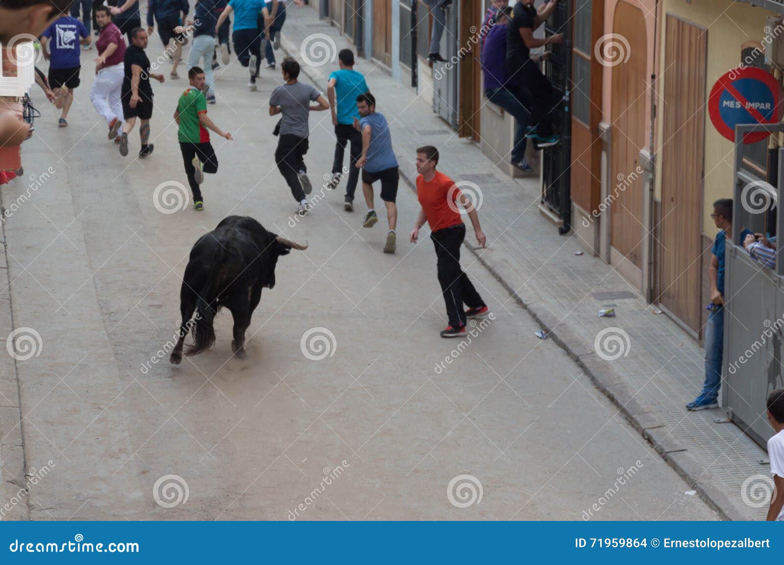 Imagen De Un Toro En La Calle Imagen de archivo editorial - Imagen de ...