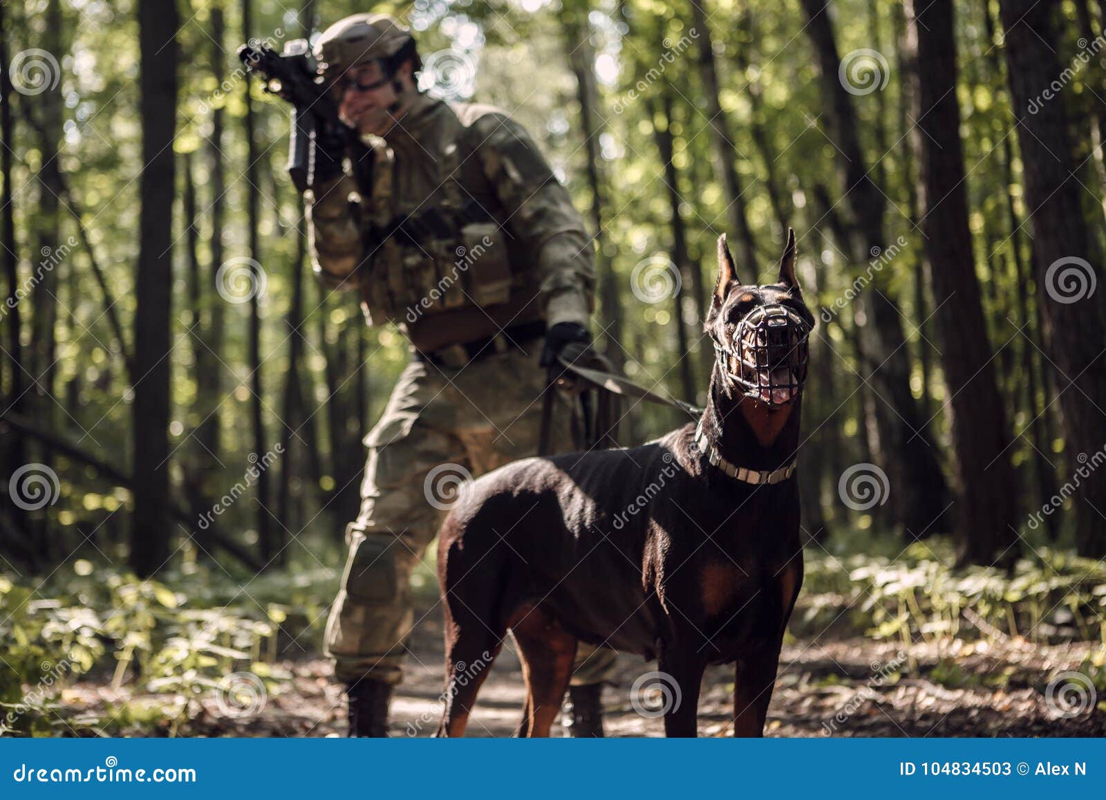 Imagen Del Militar Con El Perro Imagen de archivo - Imagen de campo ...