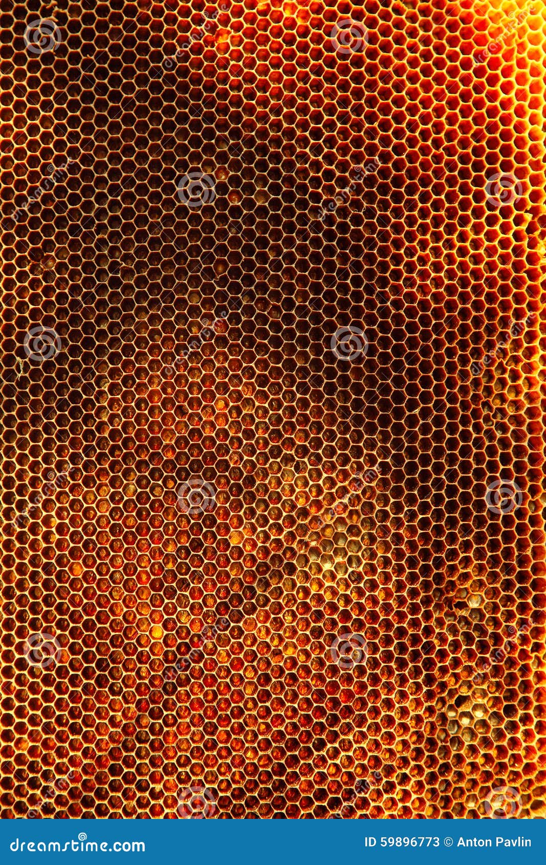 Imagen Del Panal Background Imagen de archivo - Imagen de forma, panal ...