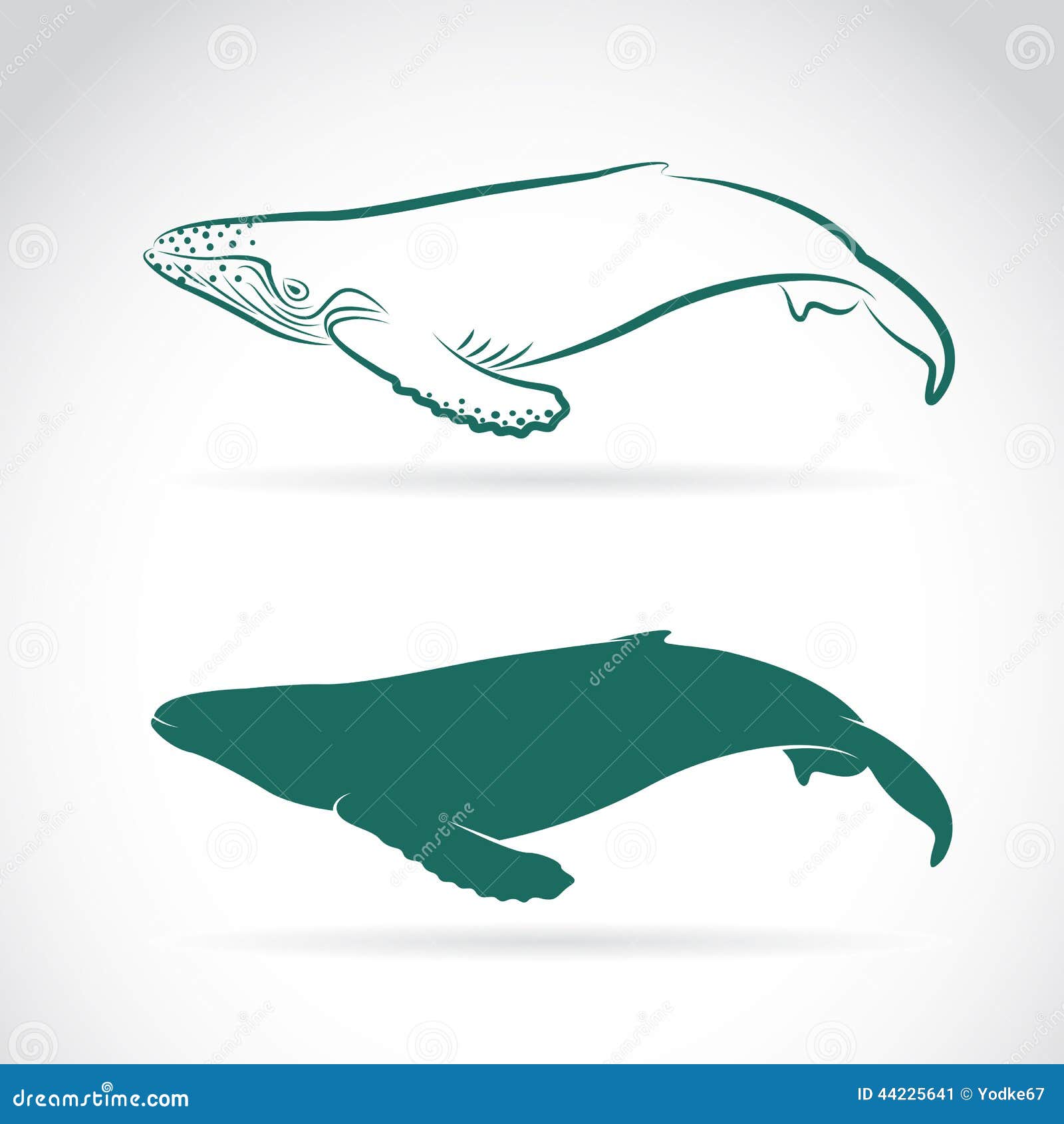 Imagen Del Vector De La Ballena Ilustración del Vector - Ilustración de ...