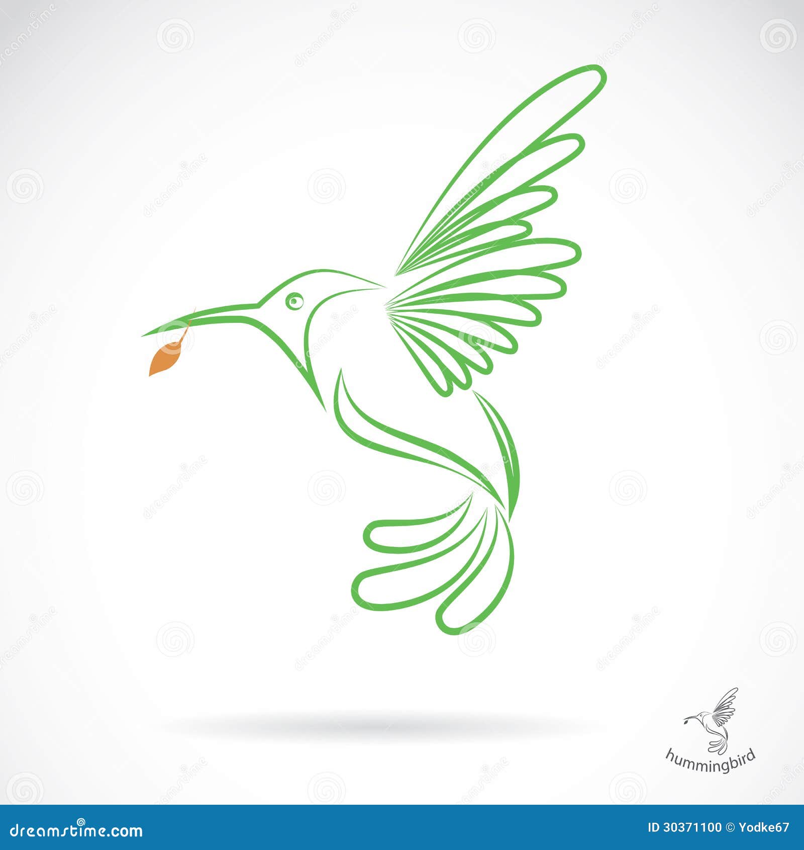 Imagen Del Vector De Un Colibrí Ilustración del Vector - Ilustración de ...