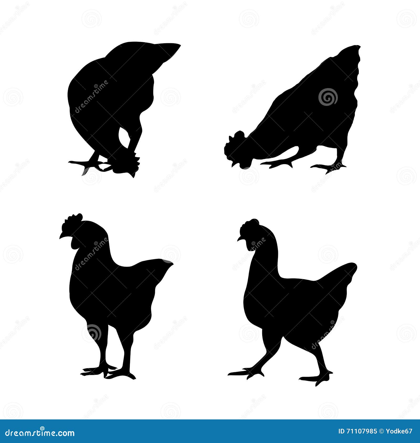 Imagen Del Vector De Un Pollo Ilustración del Vector - Ilustración de ...