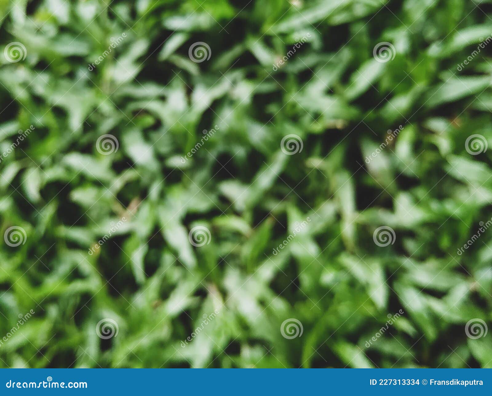 Imagens De Relva Turva Para Fundo Foto de Stock - Imagem de sunlight ...