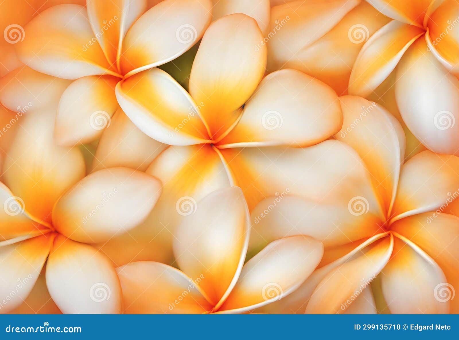 Collection of Flowers with Leaves, Flower Bouquets. Vector and ...