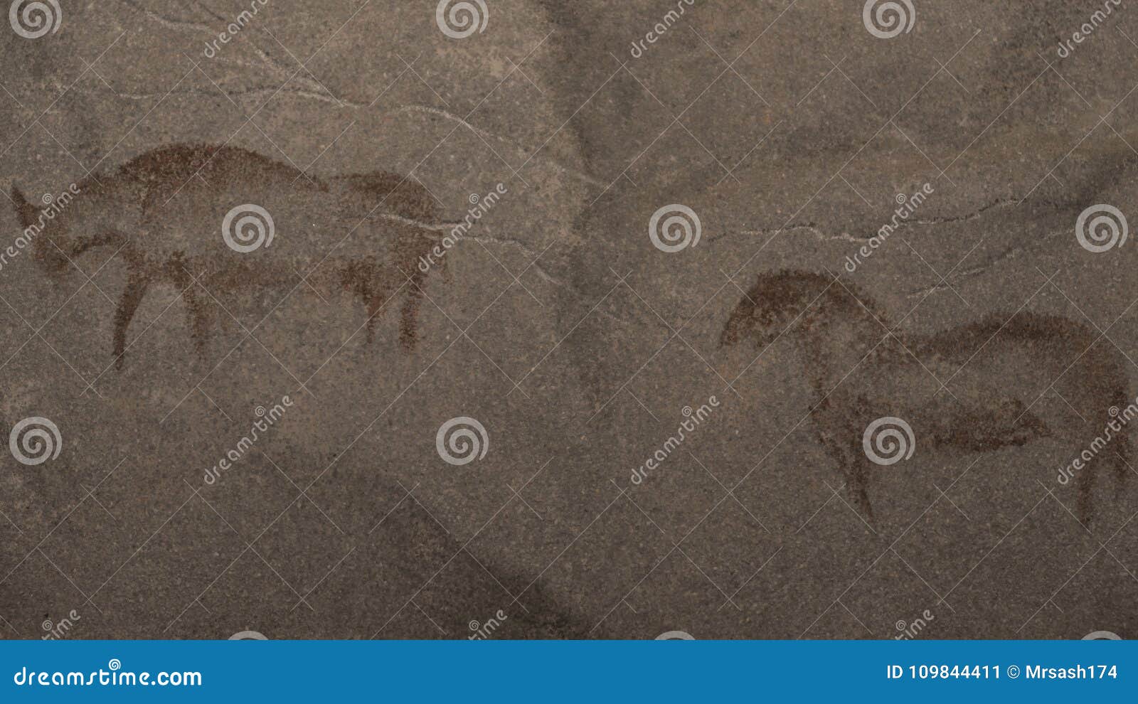 Images of Ancient Animals on the Wall of the Cave. Stock Illustration ...