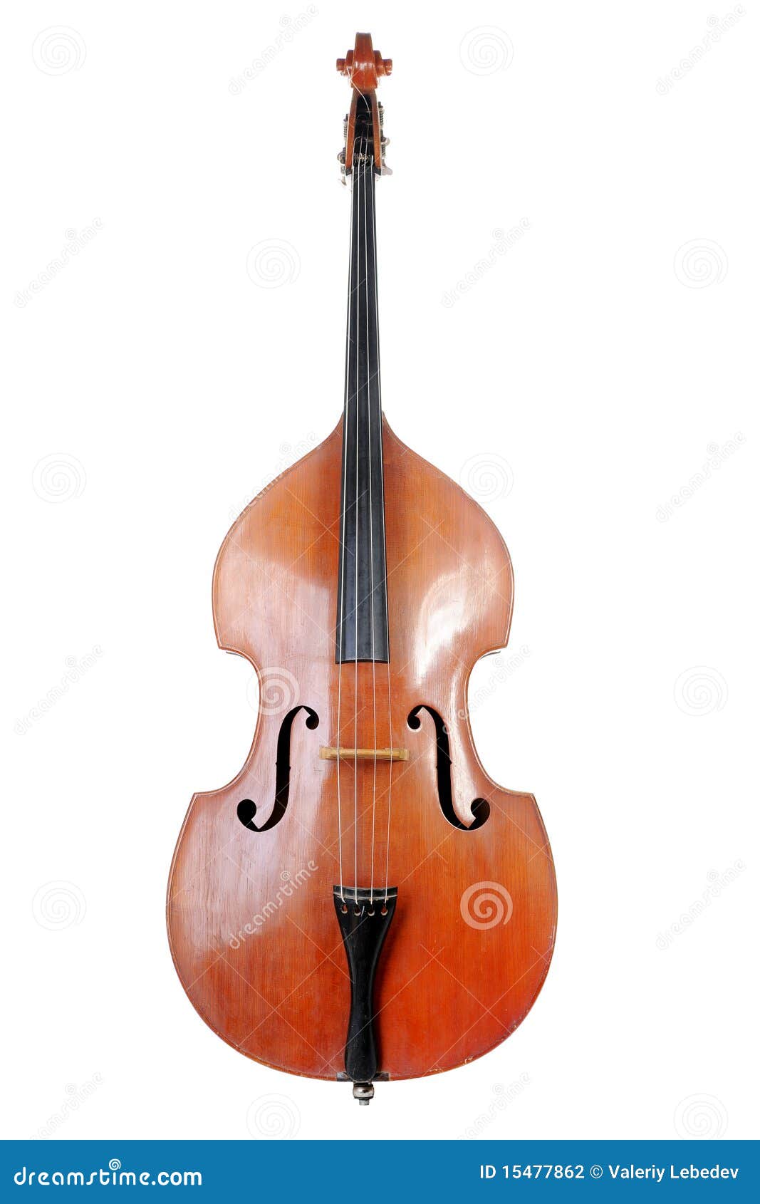 Images of the Classical Contrabass. Stock Photo - Image of indoors ...