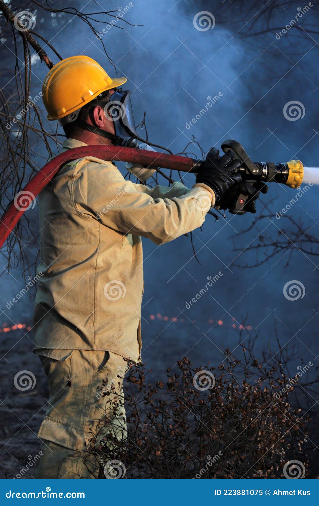 Ä°mages from a Forest Fire. Editorial Image - Image of blaze, safety ...