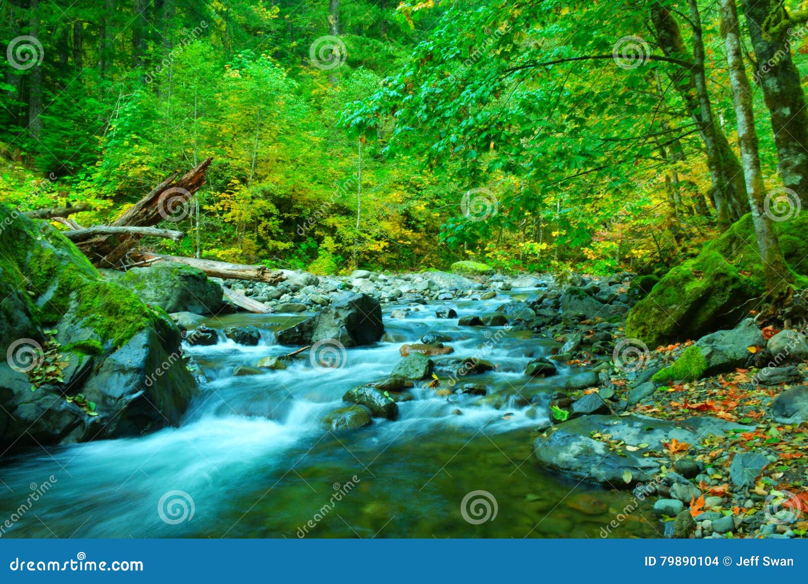 The Gurgling of Small Rapids Stock Photo - Image of long, mountain ...