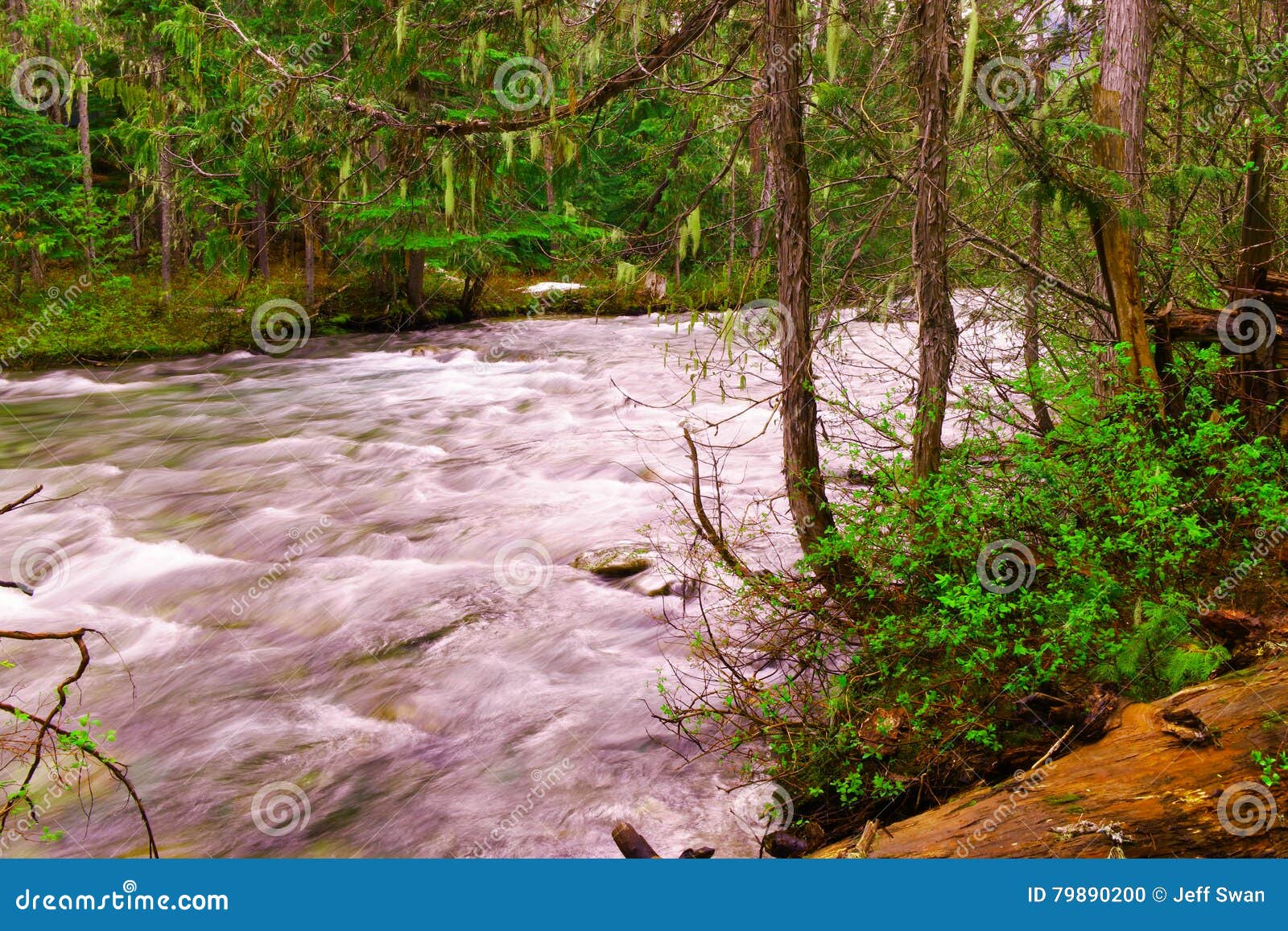The Gurgling of Small Rapids Stock Photo - Image of streams, long: 79890200