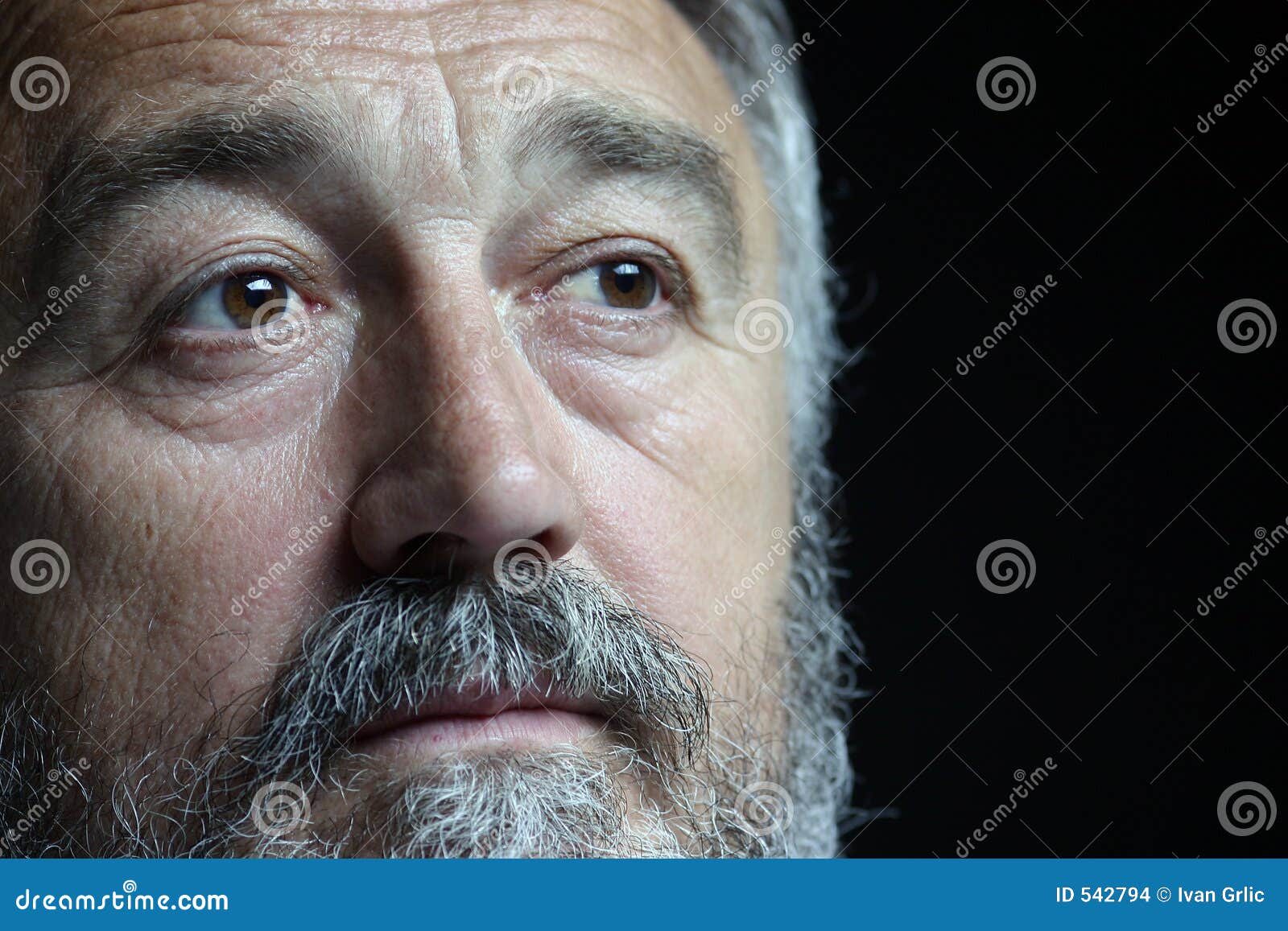 Imaginary stock photo. Image of face, beard, nose, wistful - 542794
