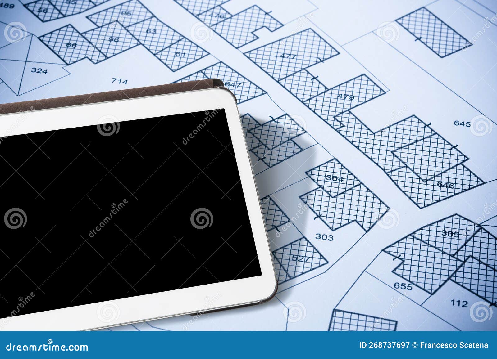 Imaginary Cadastral Map of Territory with Buildings and Land Parcel ...