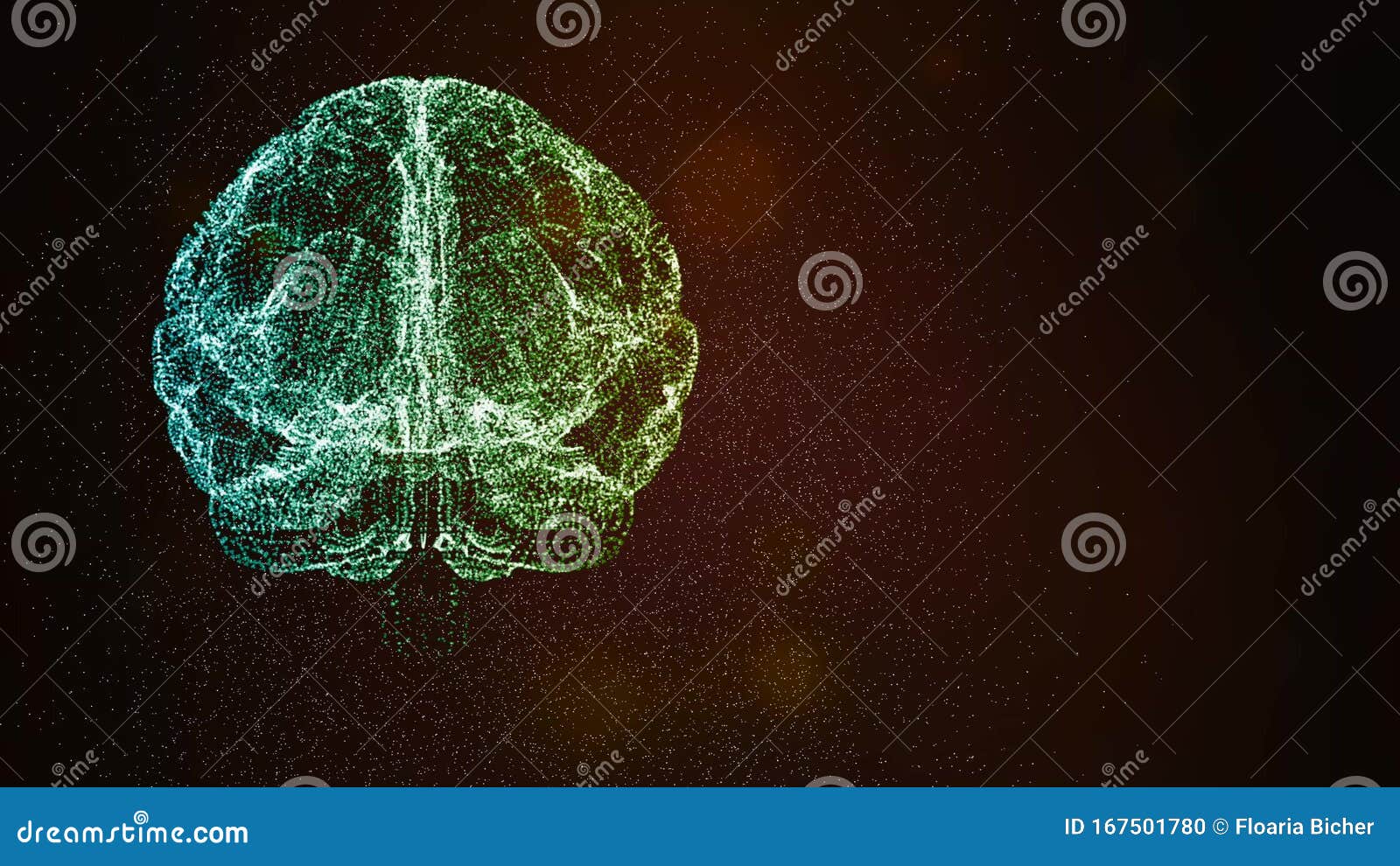 Brain Confusing Pictures