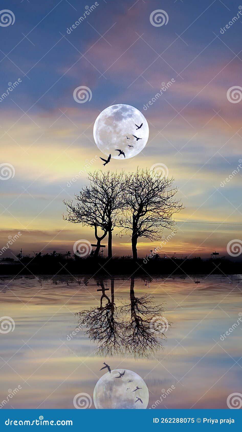 Imagination when the Evening Comes Stock Image - Image of nature ...