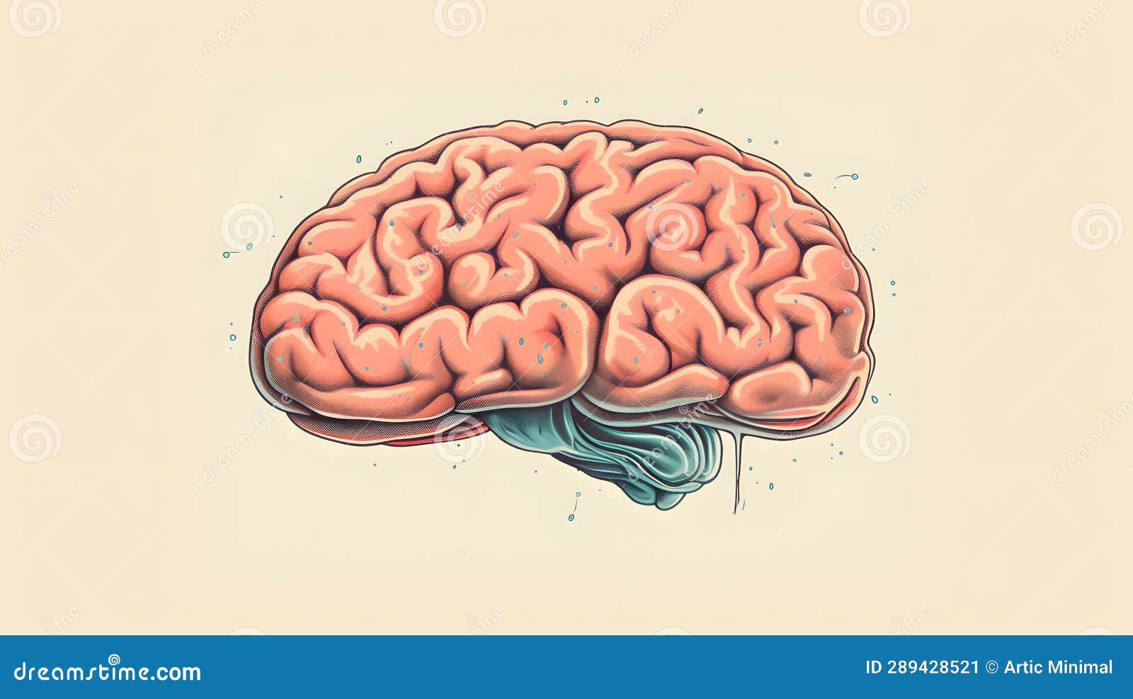 Artistic Line Art of Brain Illustration Stock Illustration ...