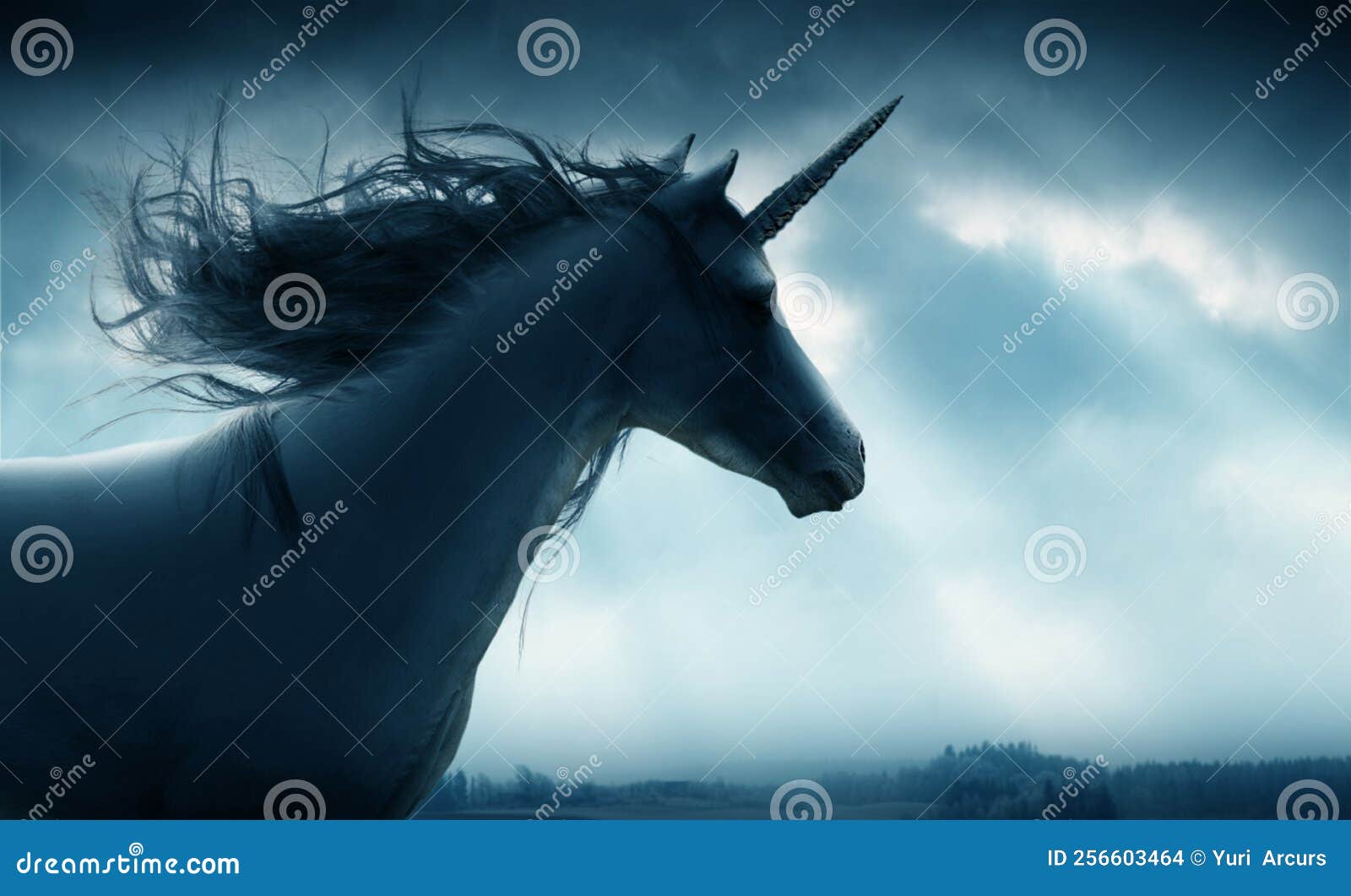 Imagine the Impossible. a Beautiful Unicorn Against a Dramatic Sky ...